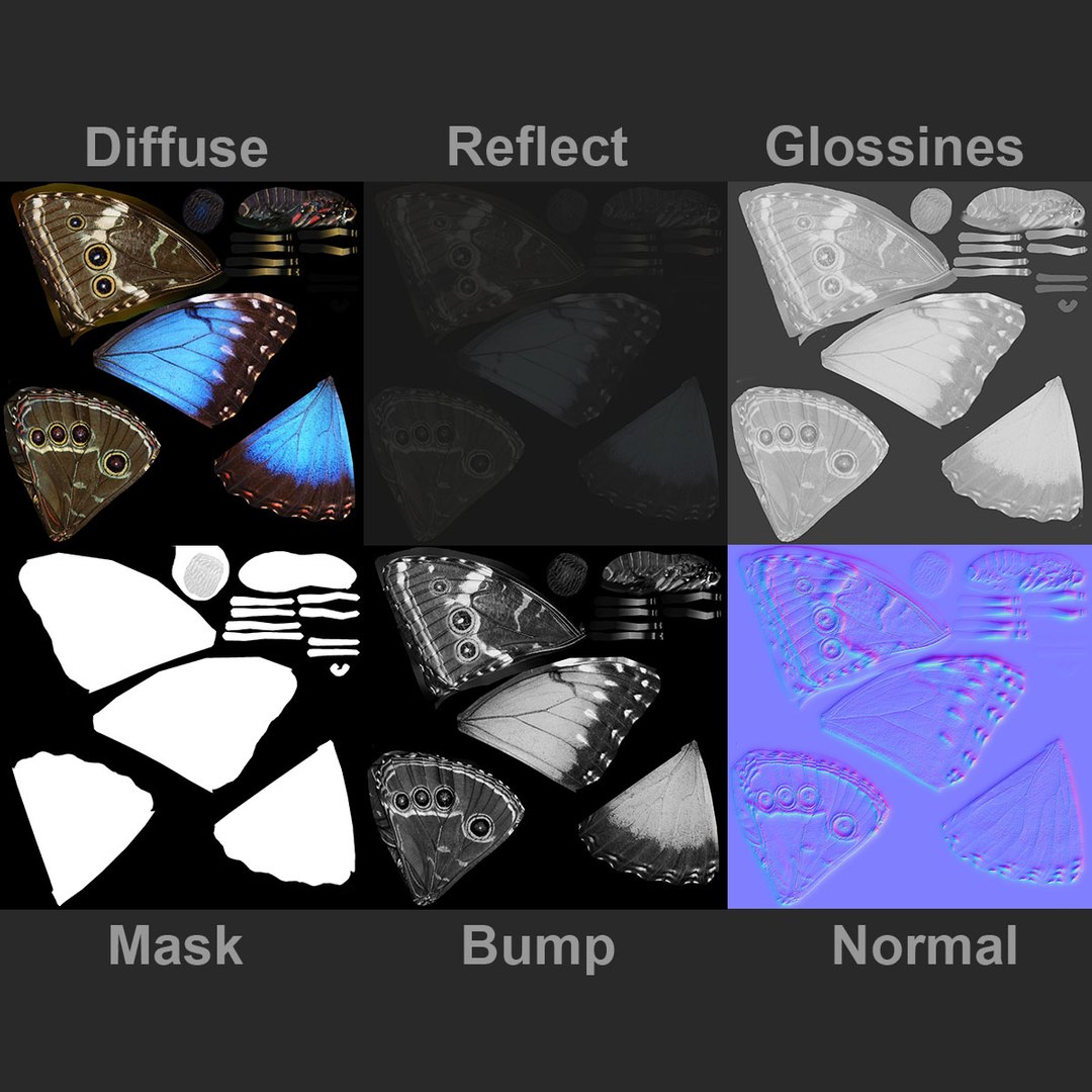 Realistic blue morpho butterfly model - TurboSquid 1311300