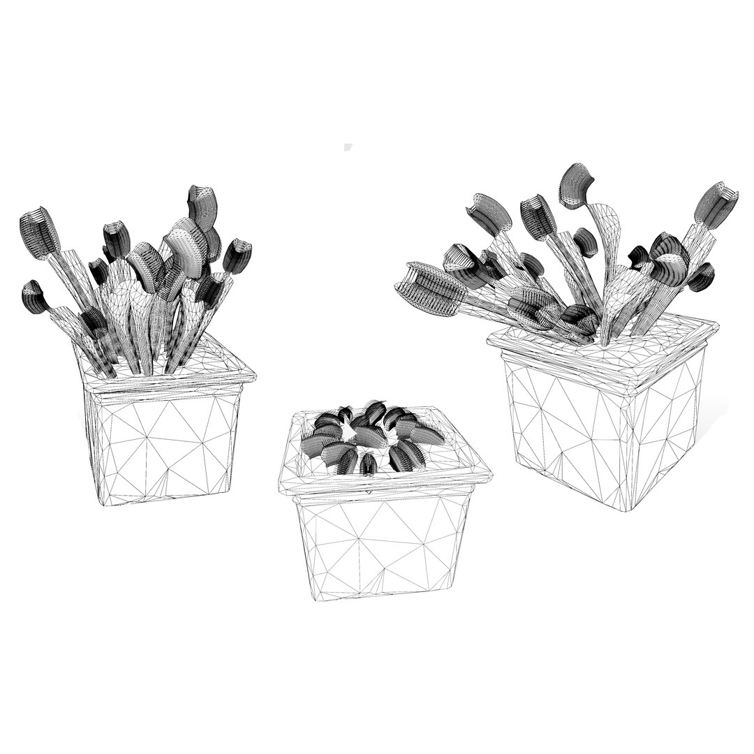 3D Realistic Venus Fly Trap Model - TurboSquid 2298173