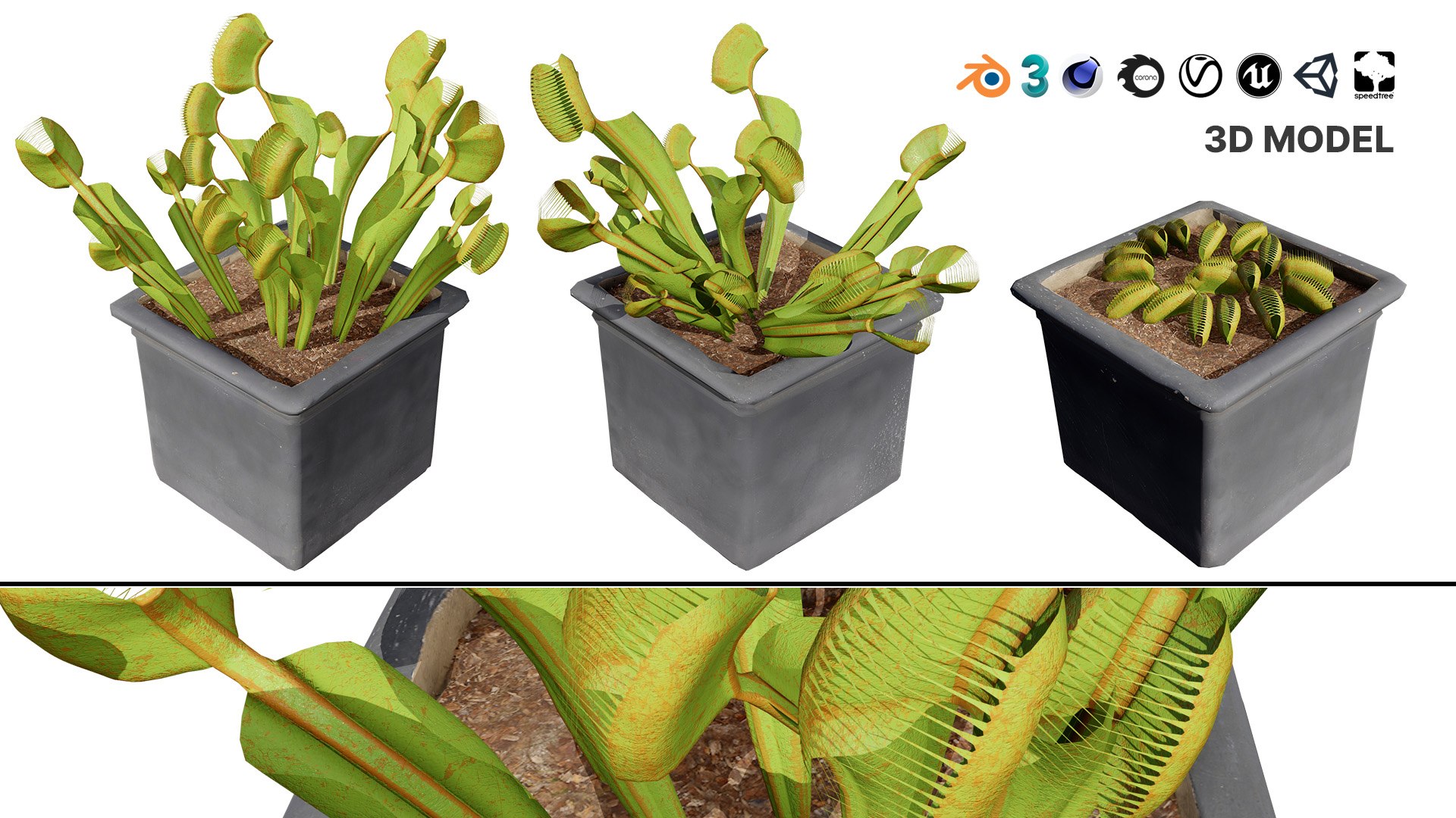 3D Realistic Venus Fly Trap Model - TurboSquid 2298173