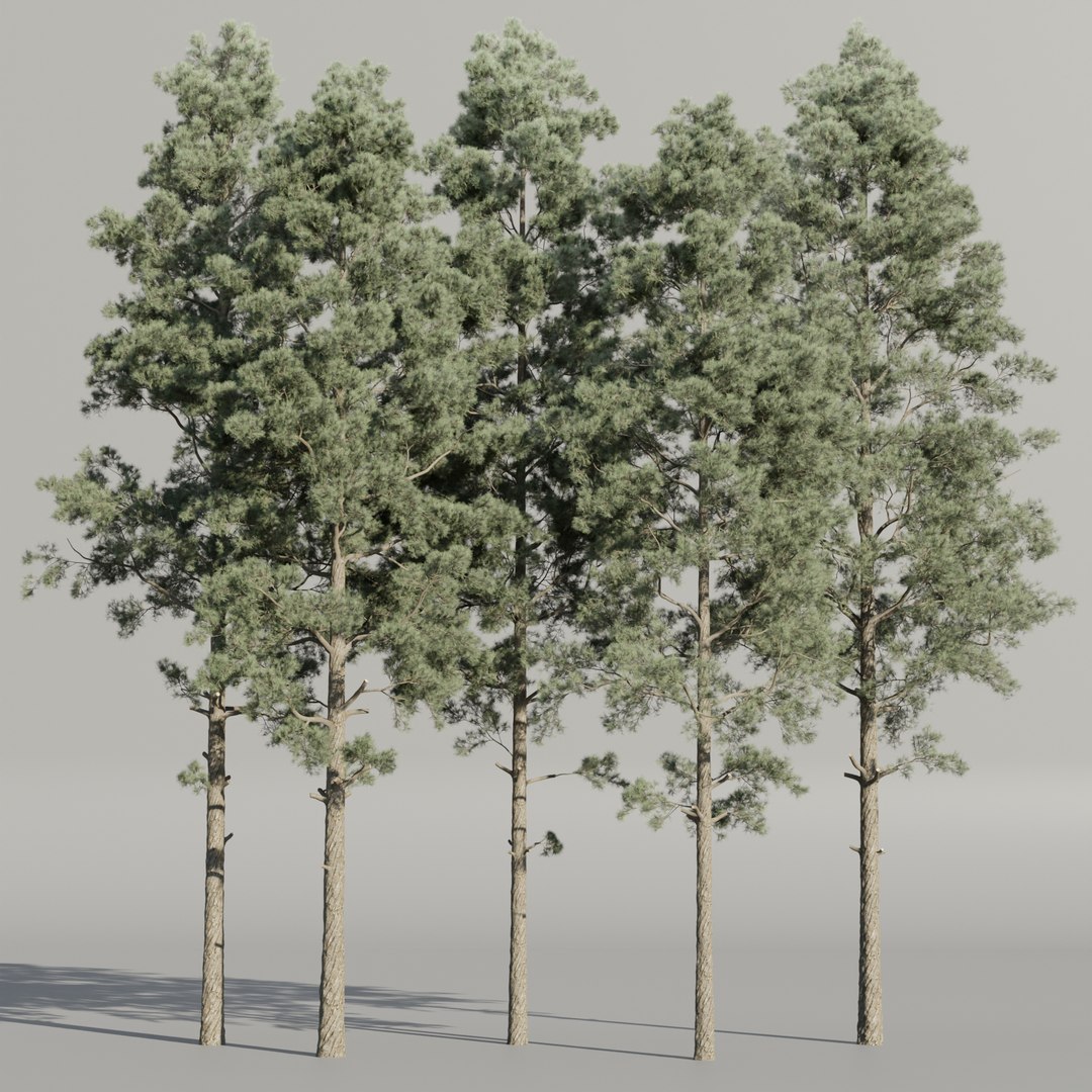 3D Pine Trees Collection Vol 234-Blender-3dmodel Model - TurboSquid 2212932