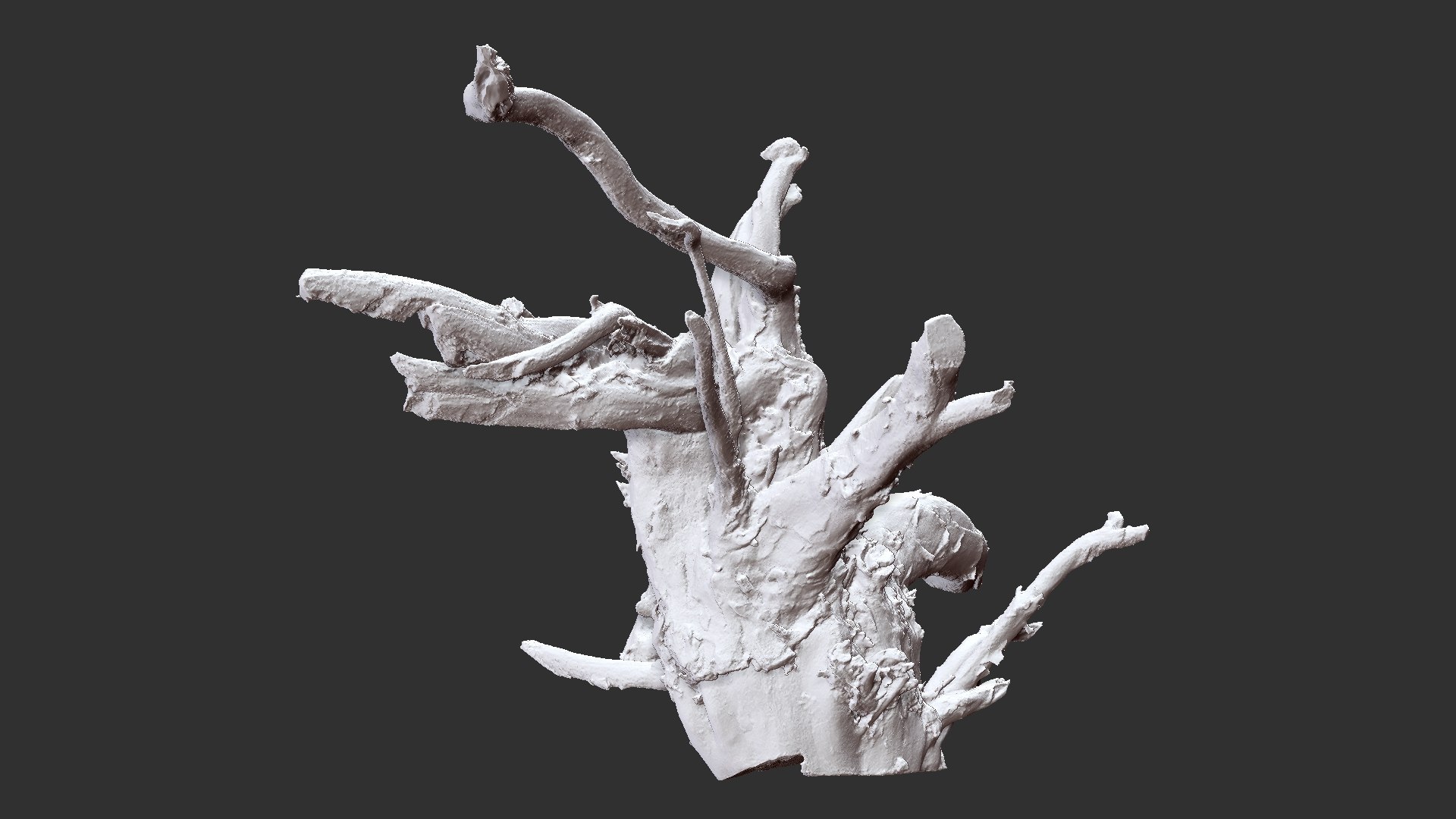 3D Model Scan Of Tree Root In Highpoly - TurboSquid 2149496