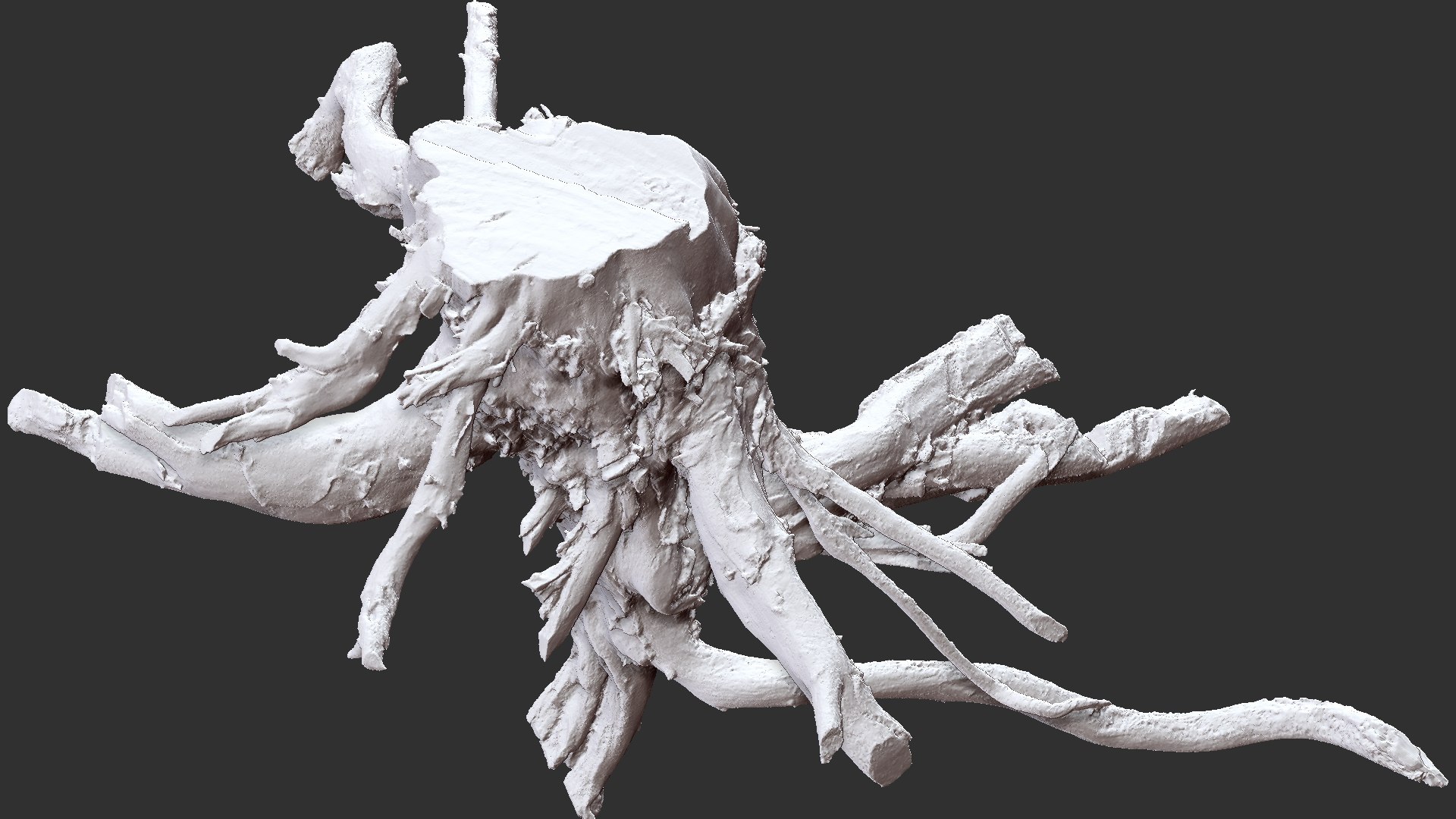 3D Model Scan Of Tree Root In Highpoly - TurboSquid 2149496