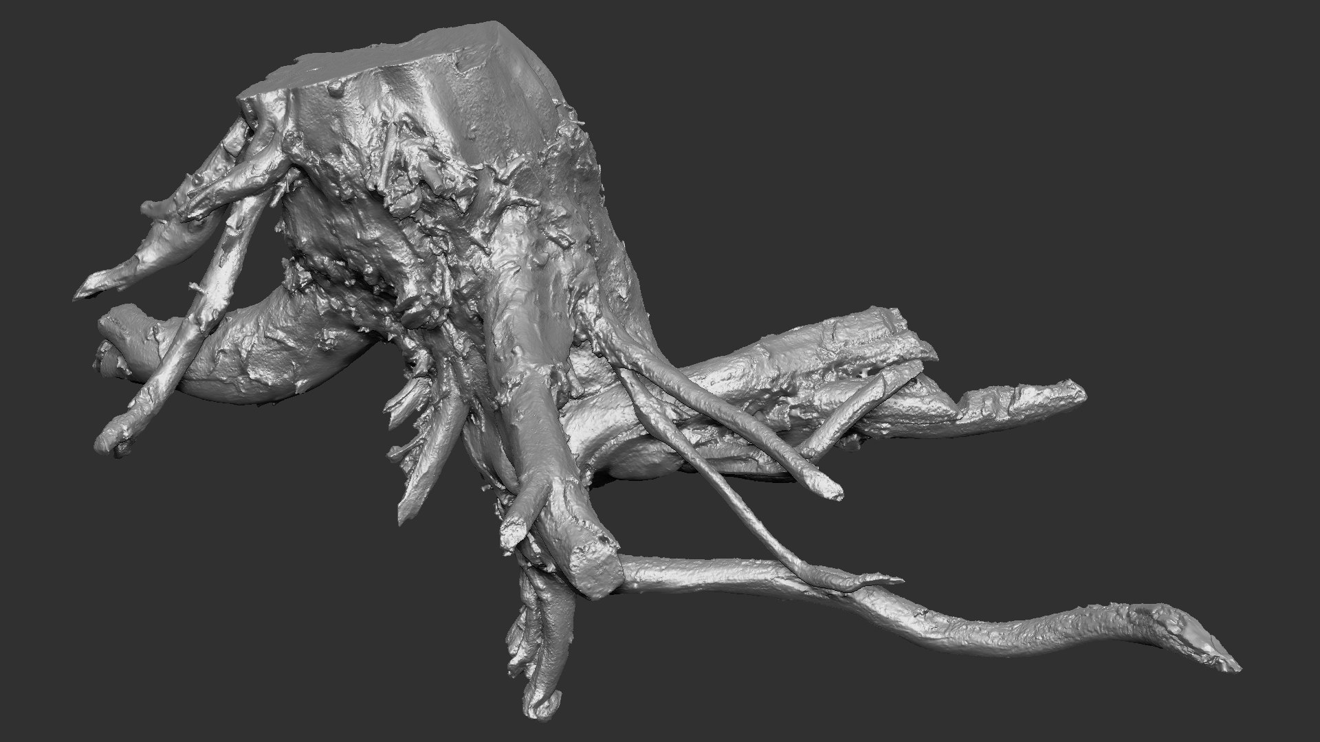 3D Model Scan Of Tree Root In Highpoly - TurboSquid 2149496