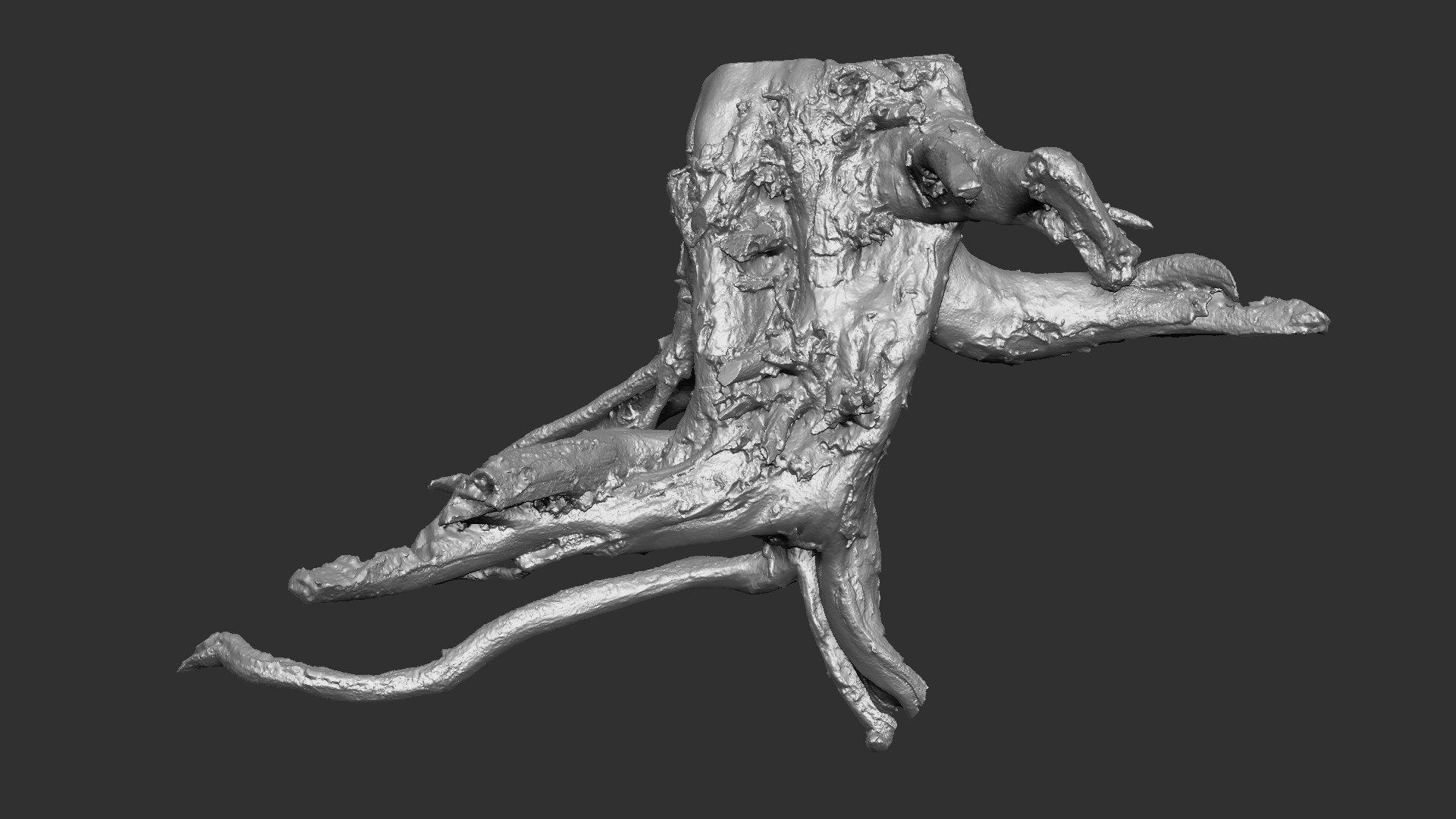 3D Model Scan Of Tree Root In Highpoly - TurboSquid 2149496