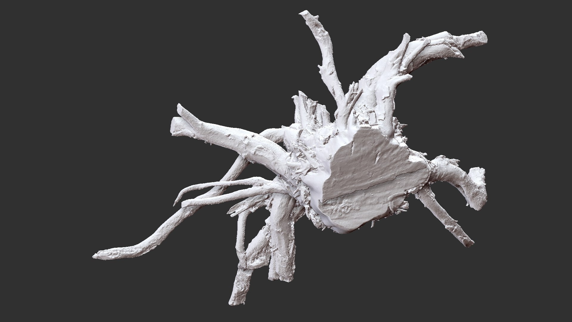 3D Model Scan Of Tree Root In Highpoly - TurboSquid 2149496