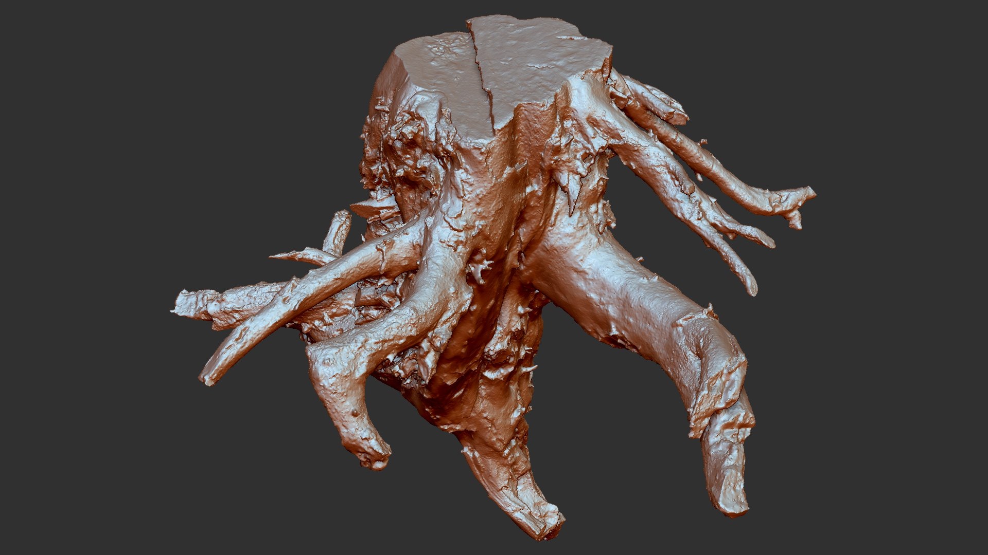 3D Model Scan Of Tree Root In Highpoly - TurboSquid 2149496