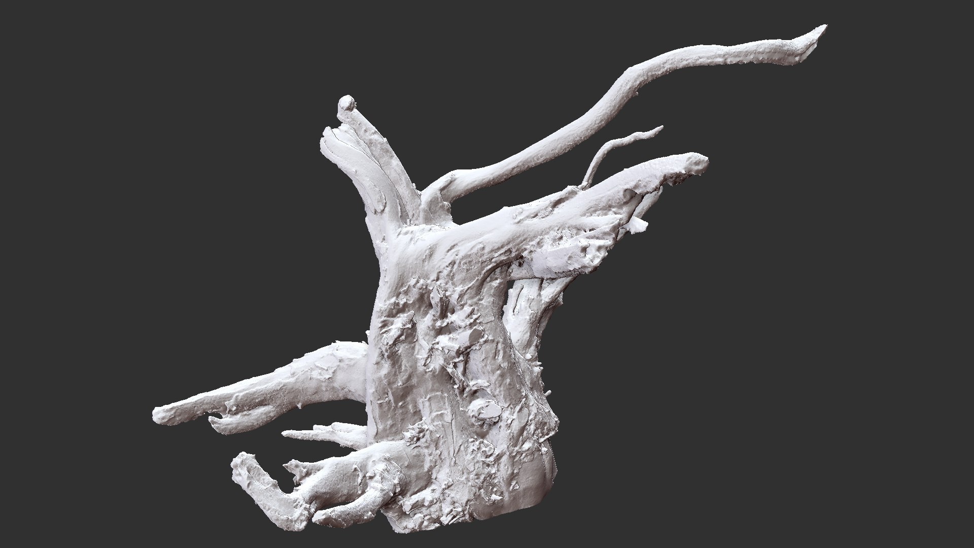 3D Model Scan Of Tree Root In Highpoly - TurboSquid 2149496