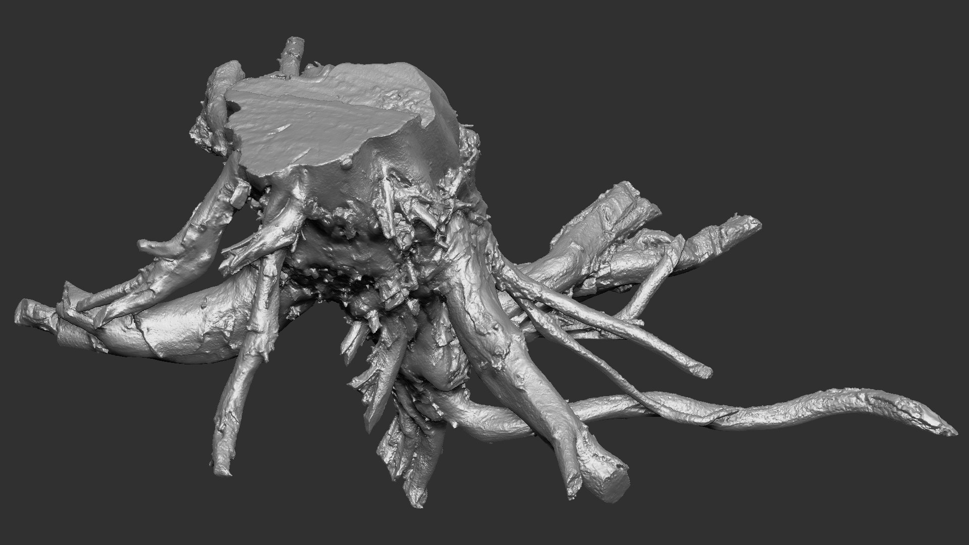 3D Model Scan Of Tree Root In Highpoly - TurboSquid 2149496