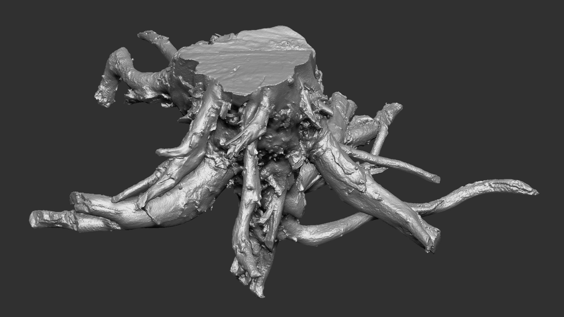 3D Model Scan Of Tree Root In Highpoly - TurboSquid 2149496