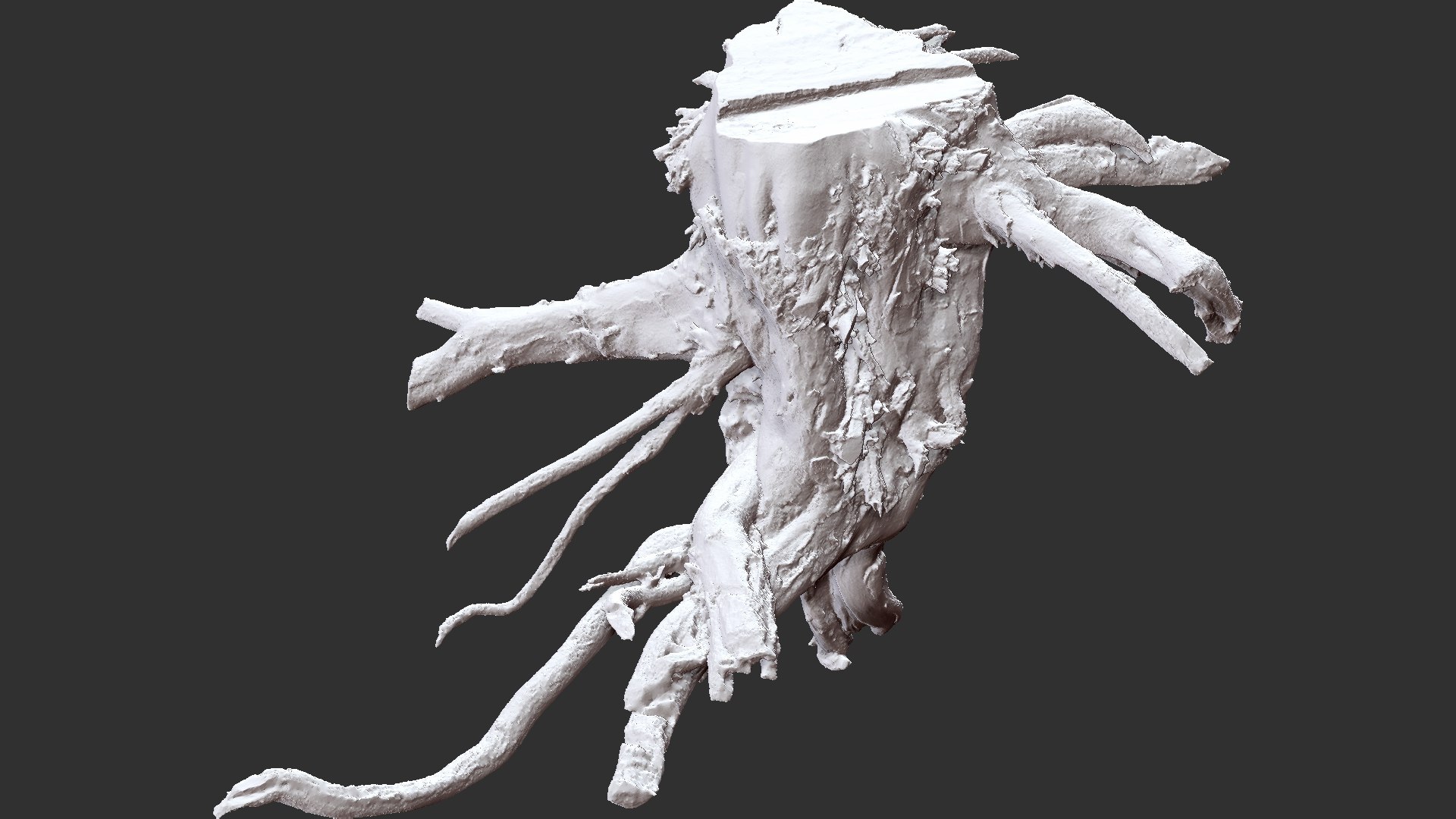 3D model scan of tree root in highpoly - TurboSquid 2149496