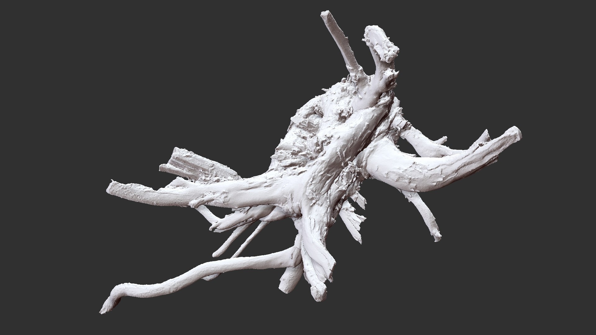 3D Model Scan Of Tree Root In Highpoly - TurboSquid 2149496