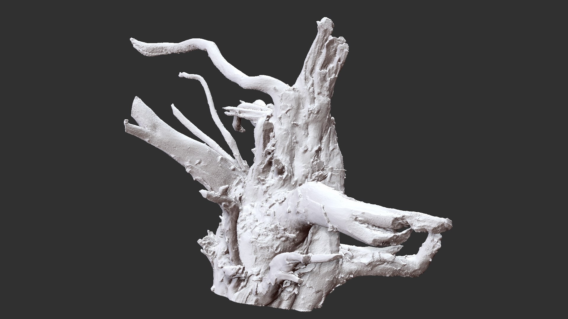 3D Model Scan Of Tree Root In Highpoly - TurboSquid 2149496