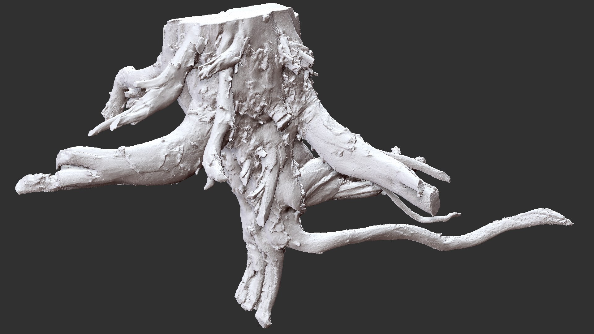 3D Model Scan Of Tree Root In Highpoly - TurboSquid 2149496