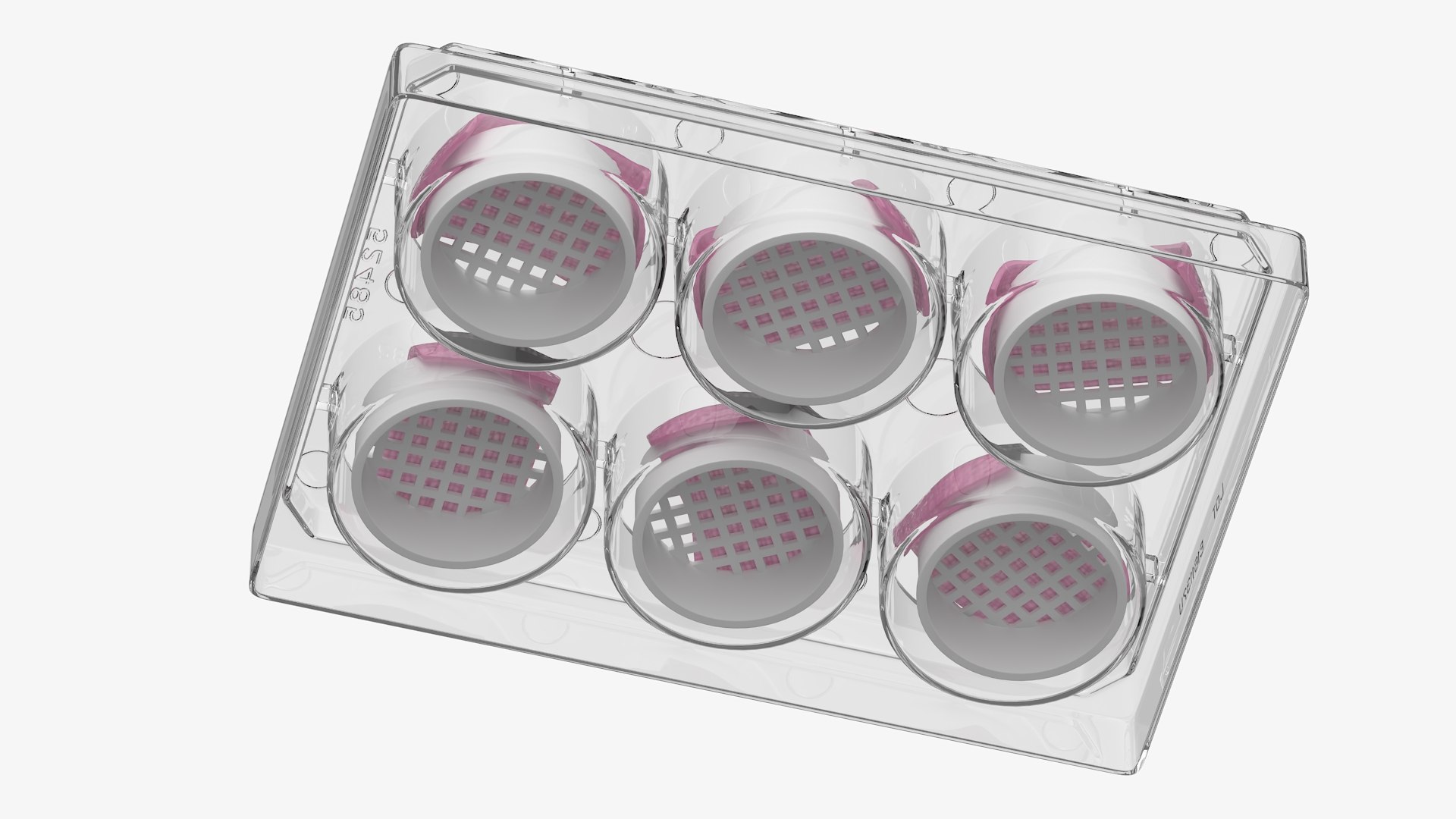 Laboratory Biological Tissue Samples 3D Model - TurboSquid 2410872