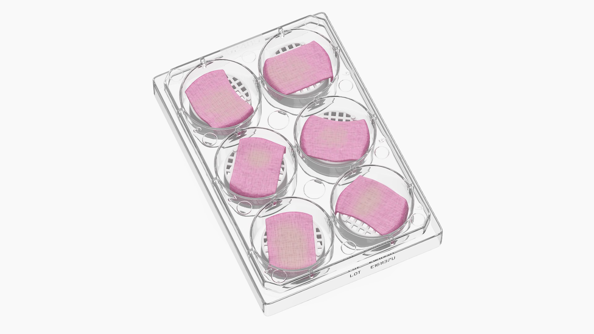 Laboratory Biological Tissue Samples 3D Model - TurboSquid 2410872