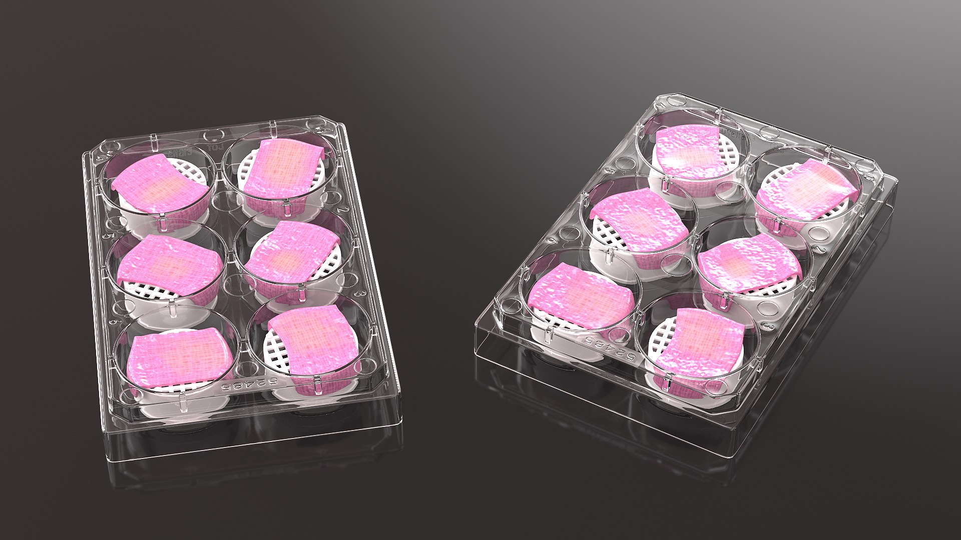 Laboratory Biological Tissue Samples 3D Model - TurboSquid 2410872