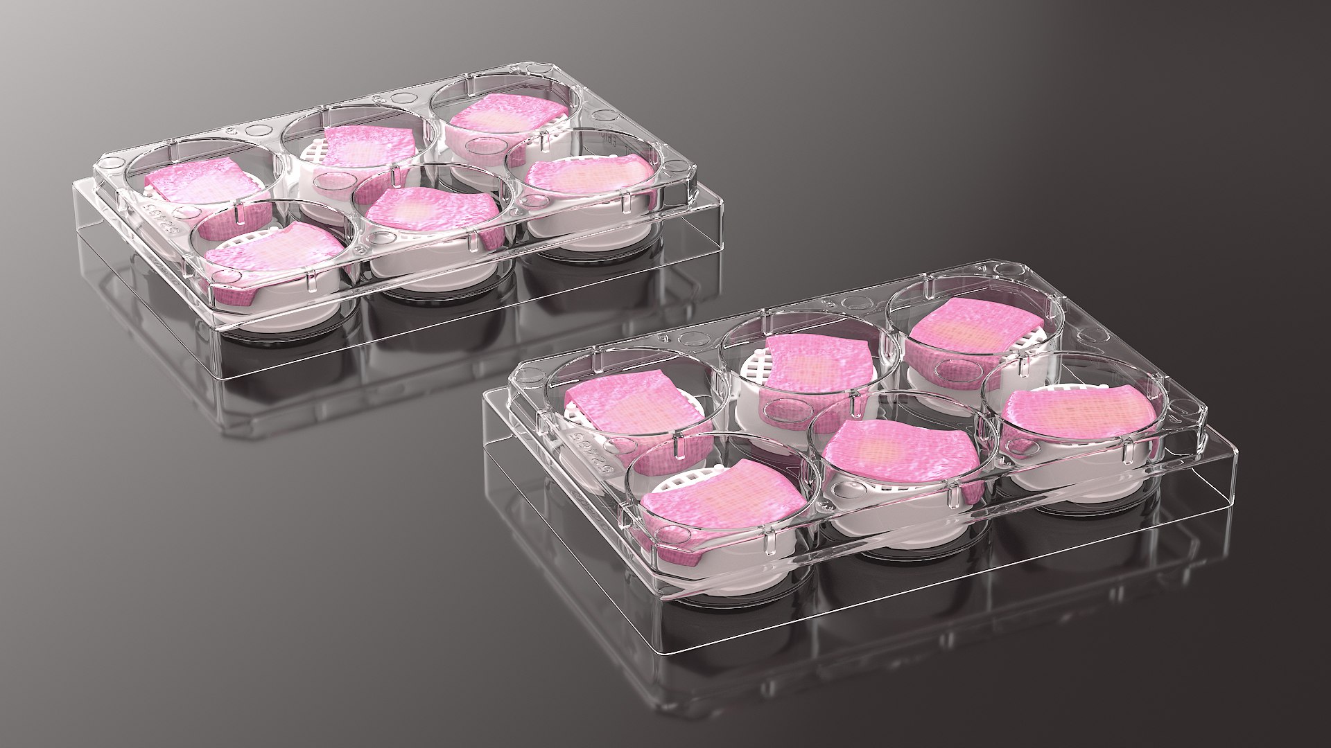 Laboratory Biological Tissue Samples 3D Model - TurboSquid 2410872