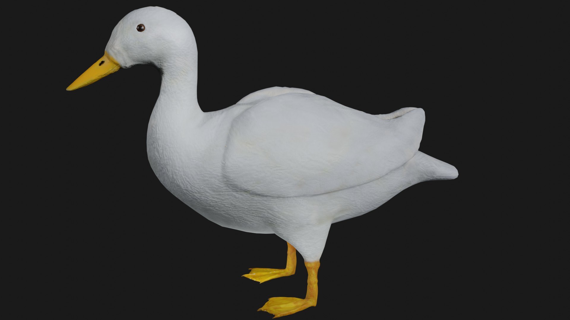 White duck rigged model - TurboSquid 1657257
