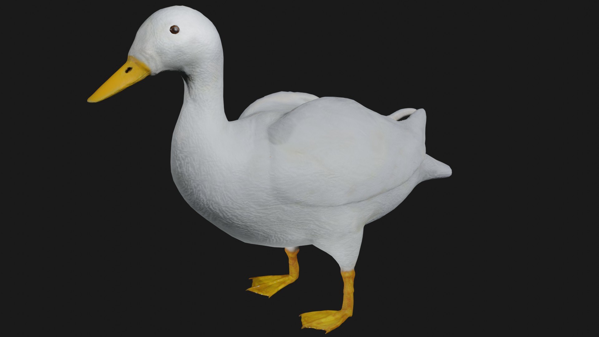 White Duck Rigged Model - TurboSquid 1657257