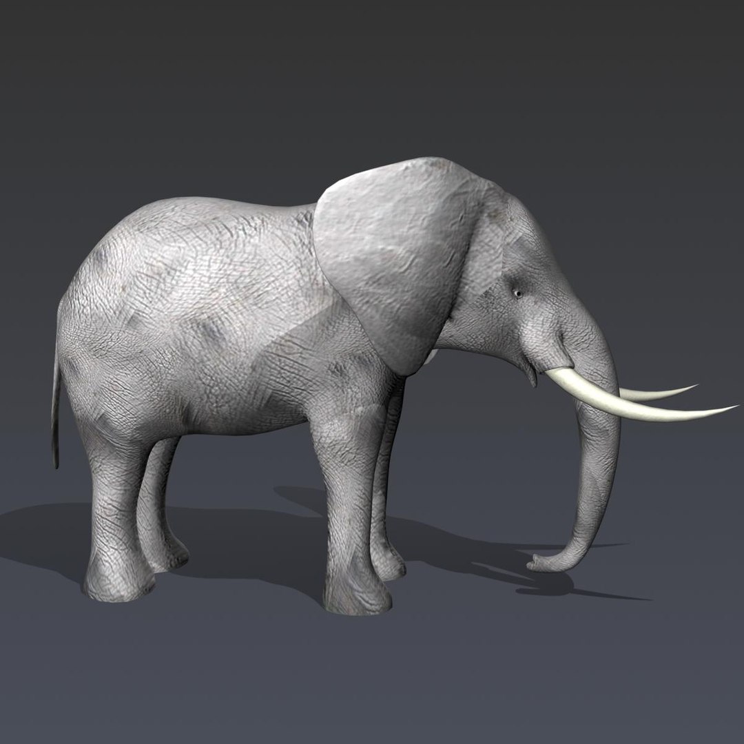 3d model elephant animation