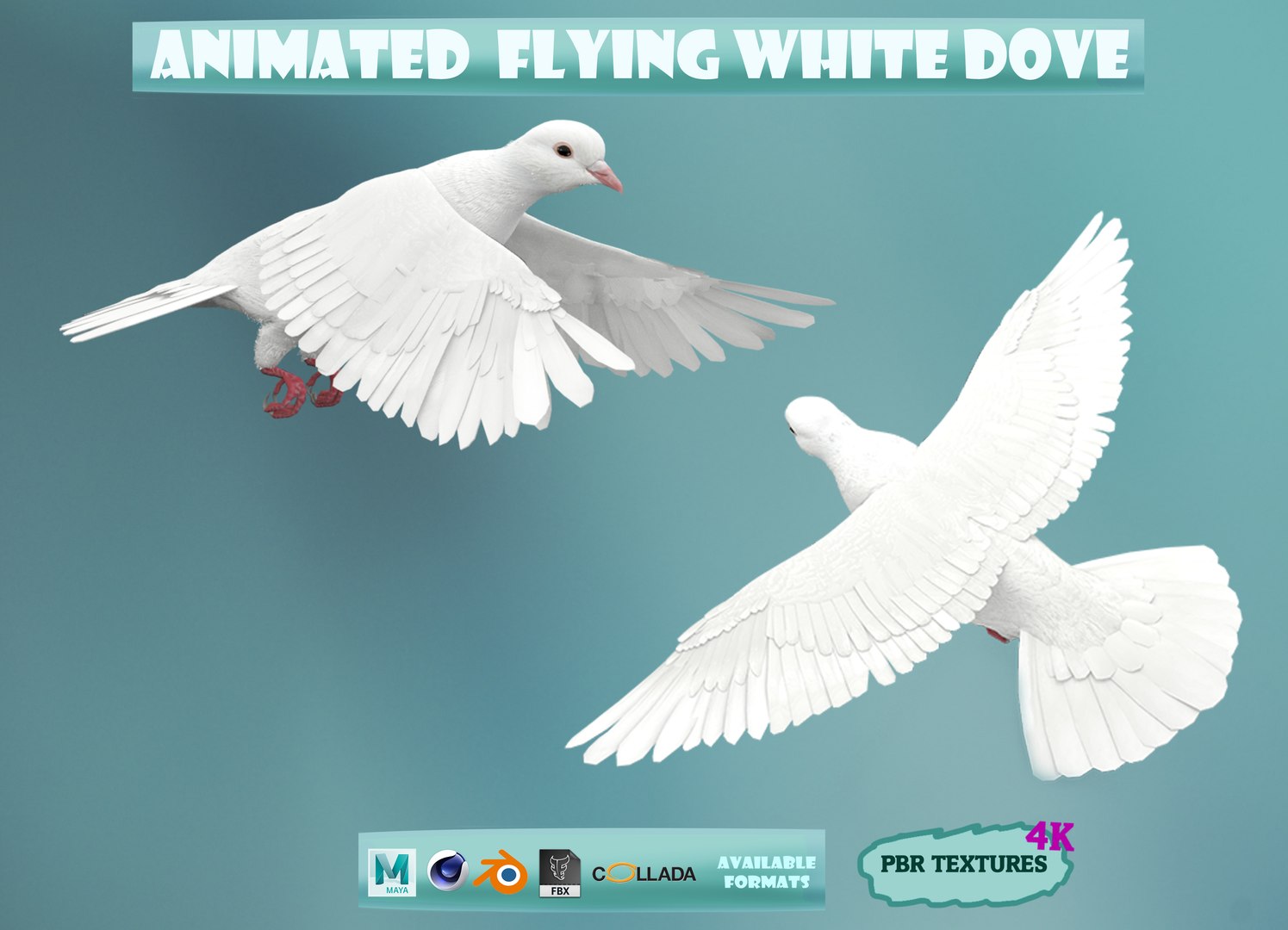 modelo 3d realistc White Dove- LOOP FLIGHT animation Low-poly 3D model ...