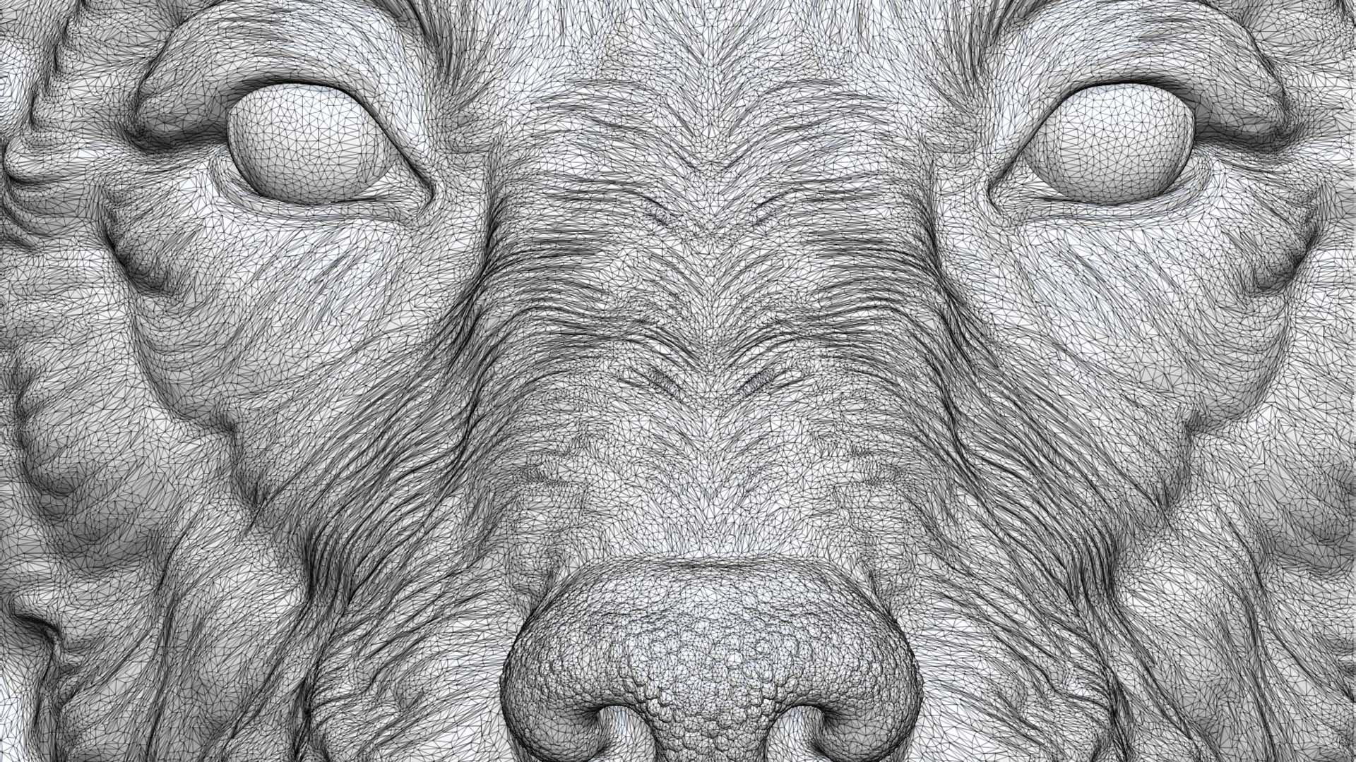 3D Collie Dog head model - TurboSquid 2092515