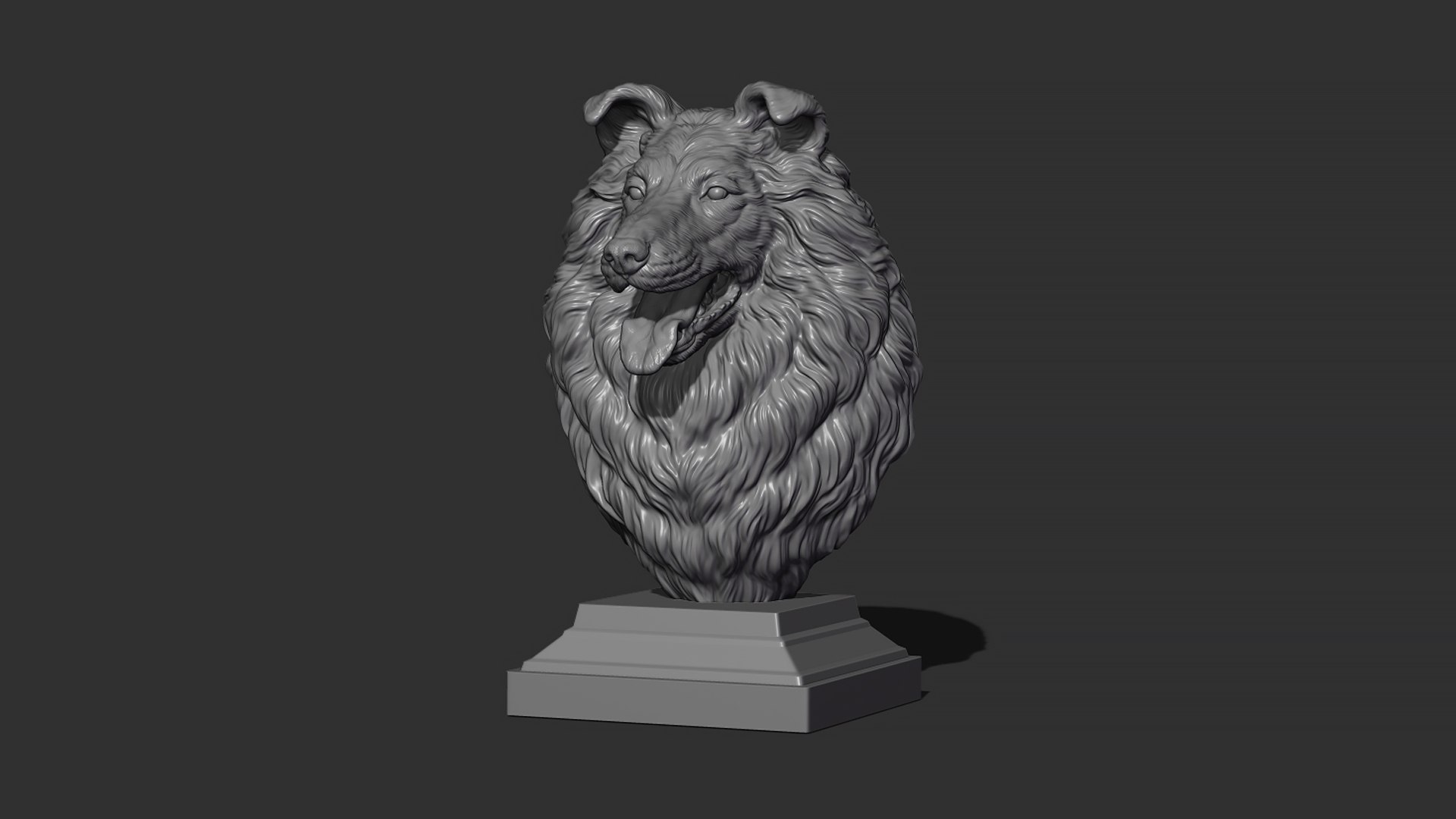 3D Collie Dog head model - TurboSquid 2092515
