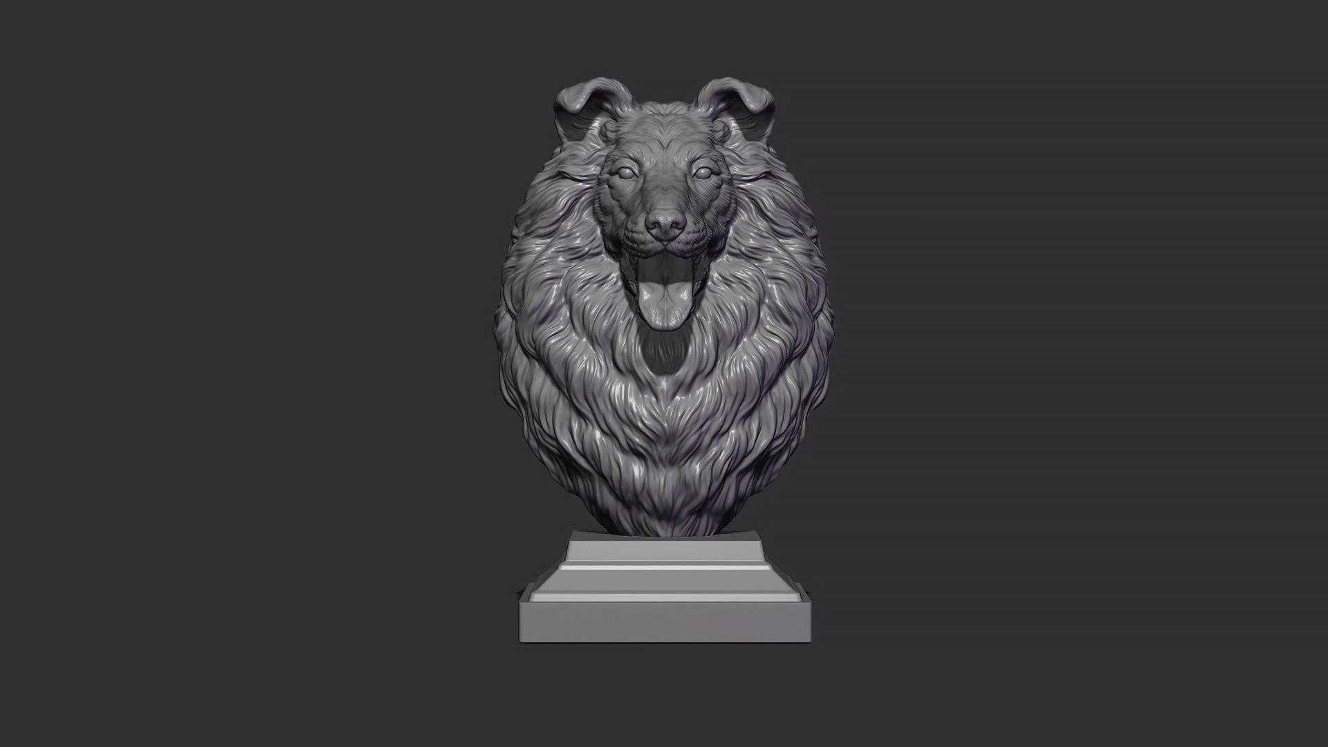 3D Collie Dog head model - TurboSquid 2092515