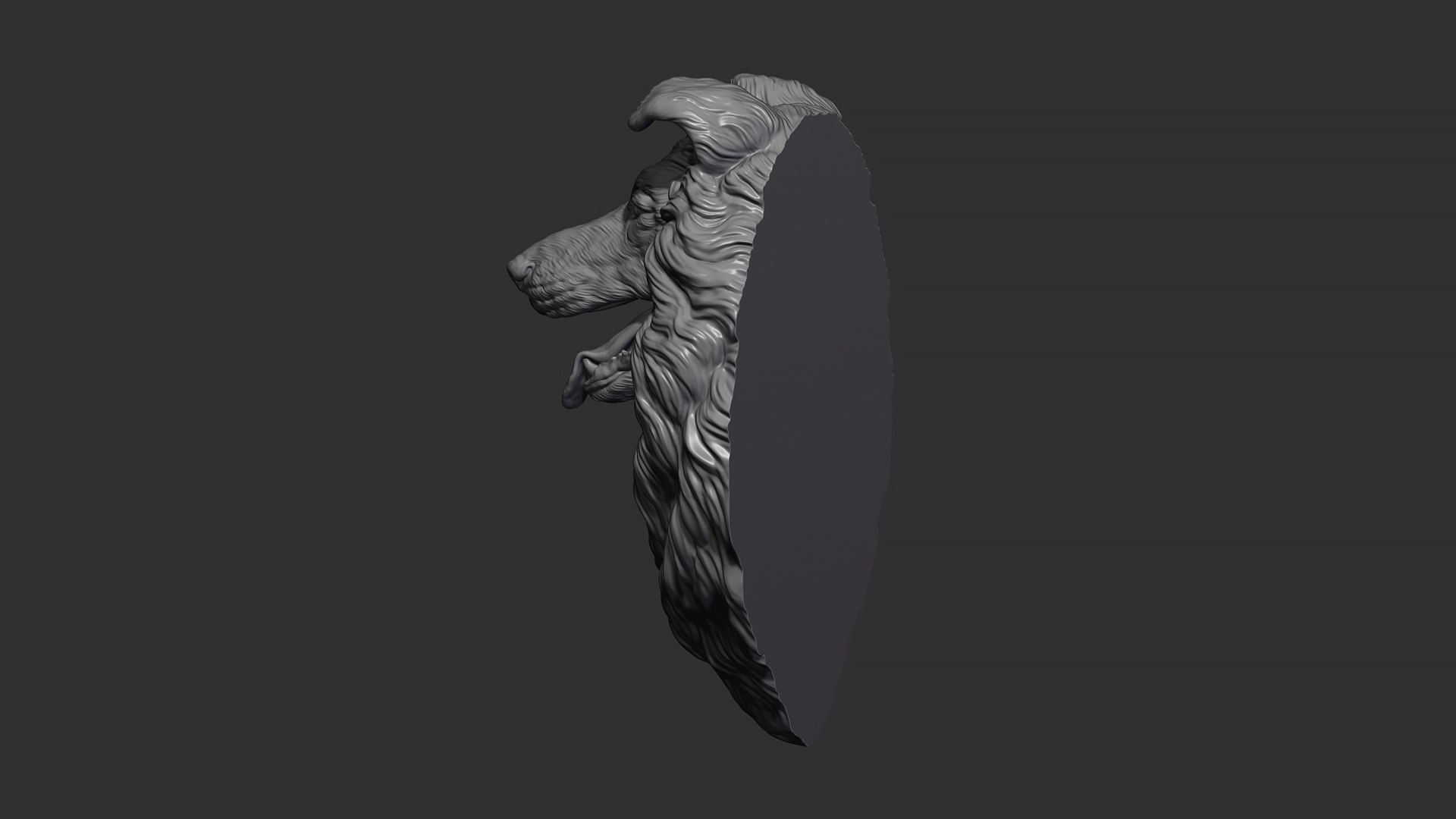3D Collie Dog head model - TurboSquid 2092515