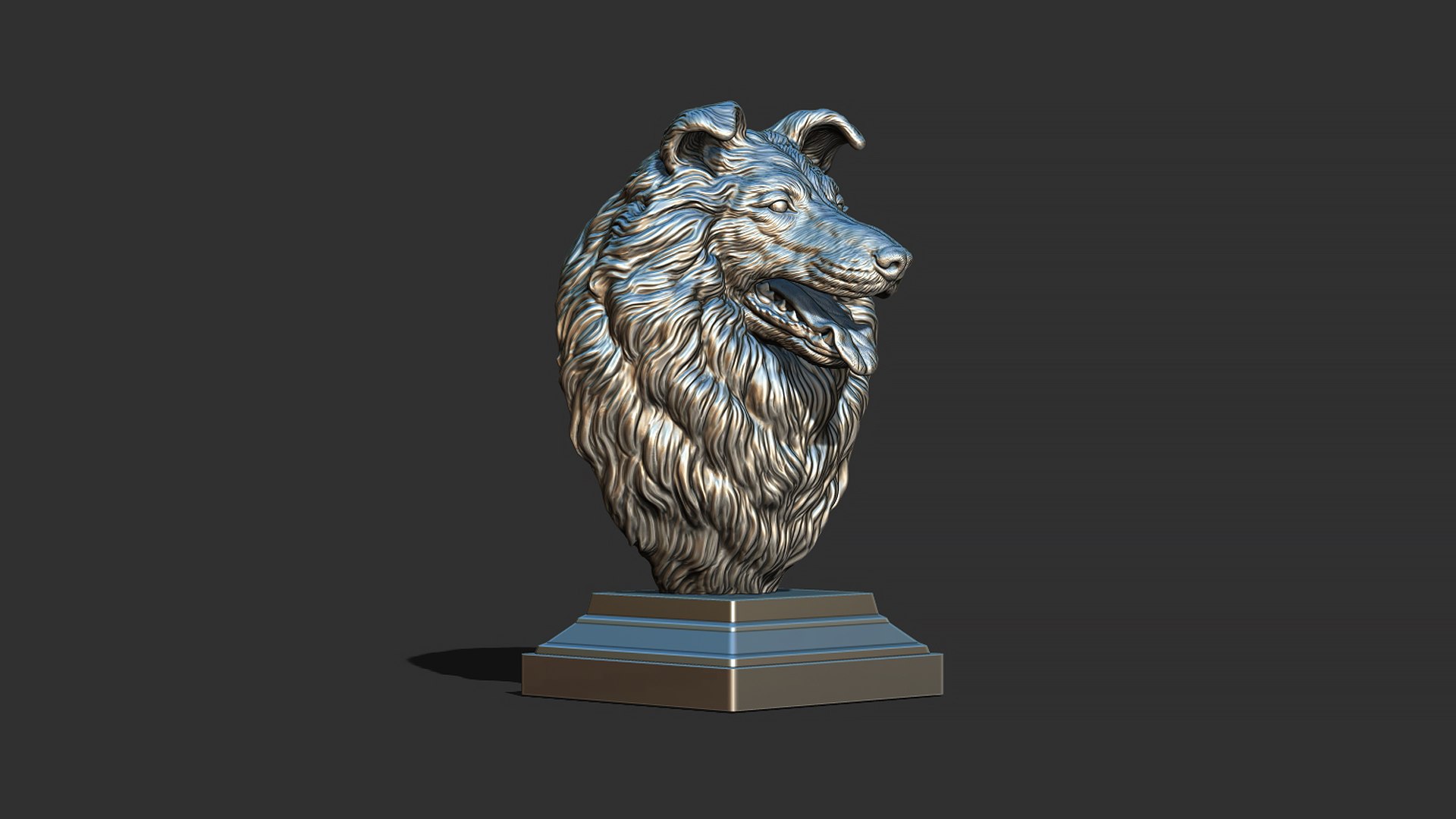3D Collie Dog head model - TurboSquid 2092515