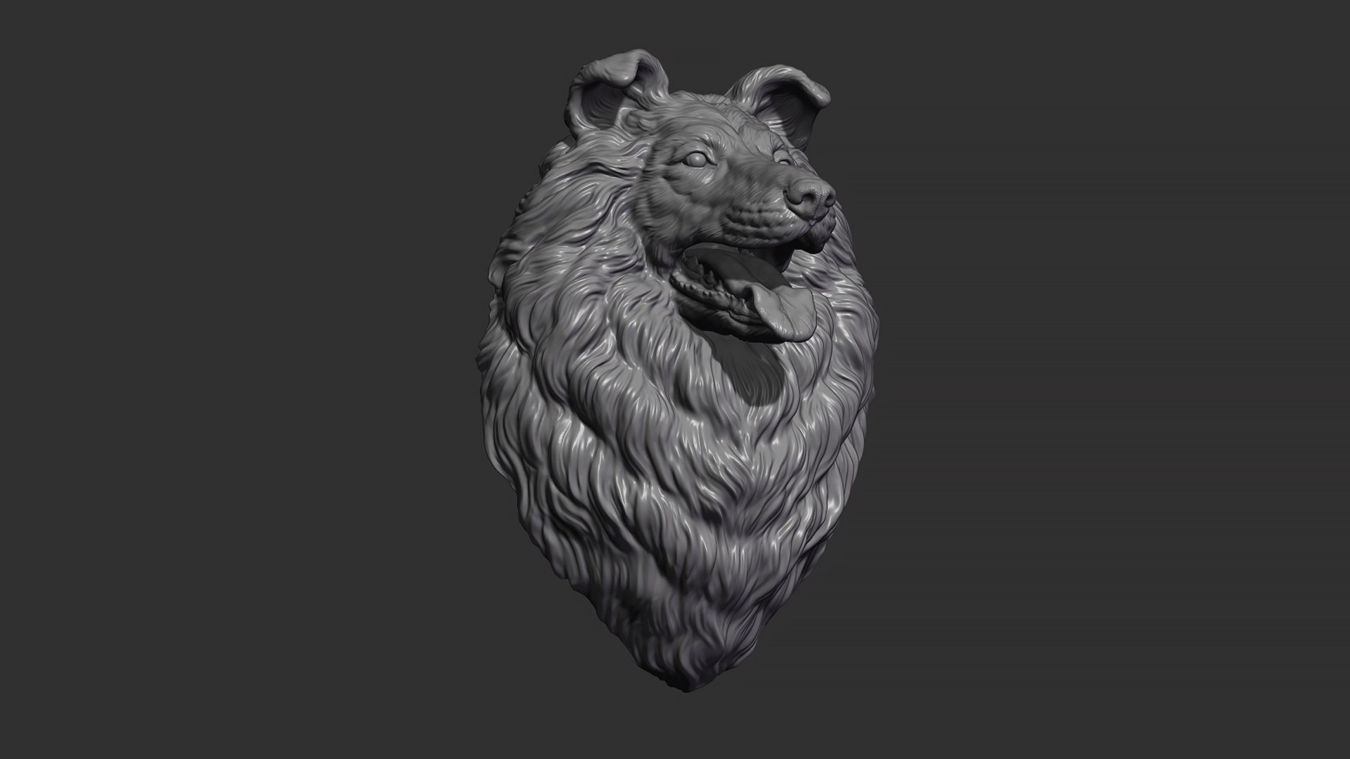 3D Collie Dog head model - TurboSquid 2092515