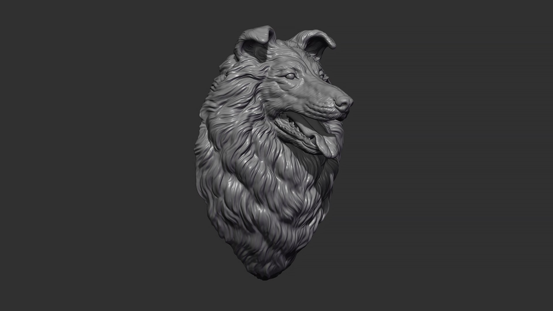 3D Collie Dog head model - TurboSquid 2092515