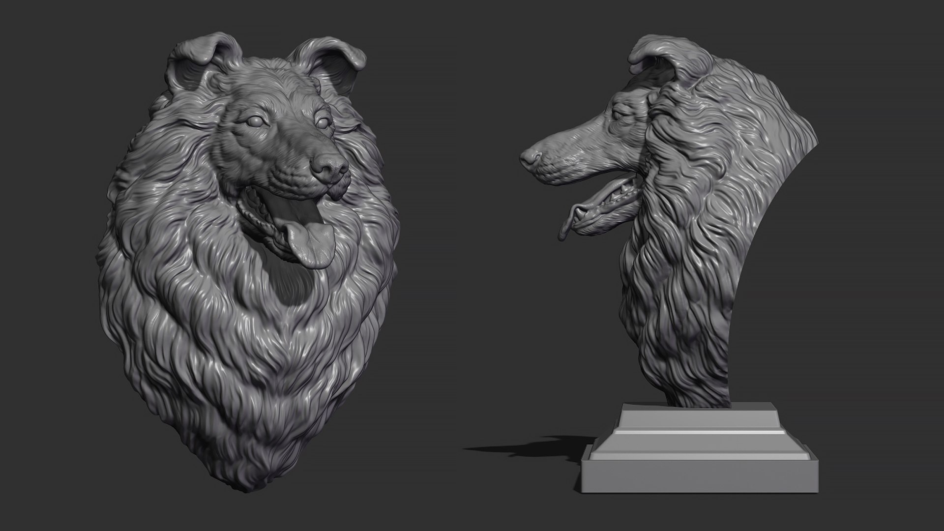 3D Collie Dog head model - TurboSquid 2092515