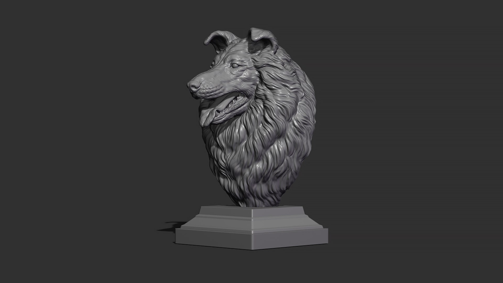 3D Collie Dog head model - TurboSquid 2092515