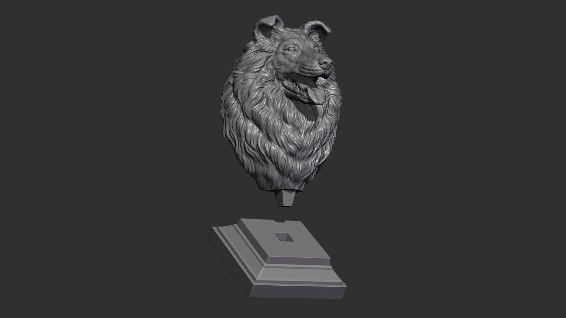 3D Collie Dog head model - TurboSquid 2092515