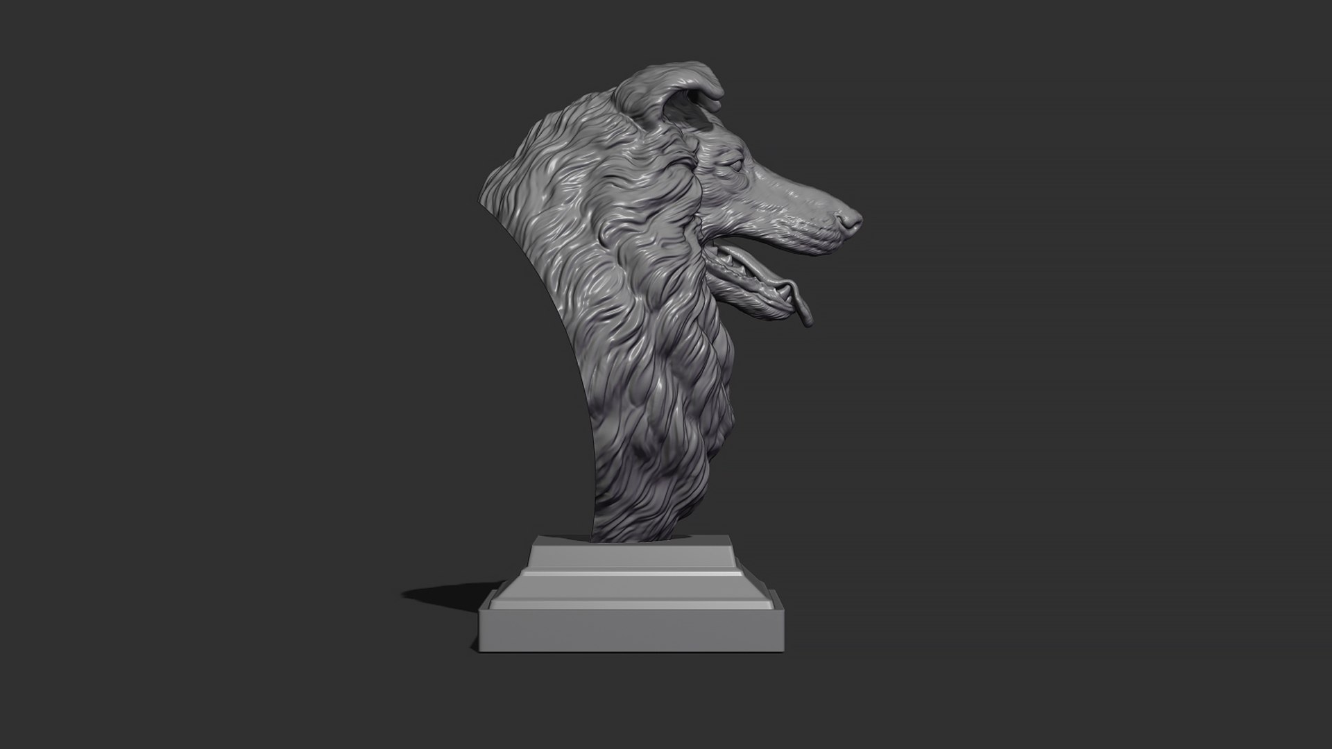 3D Collie Dog head model - TurboSquid 2092515