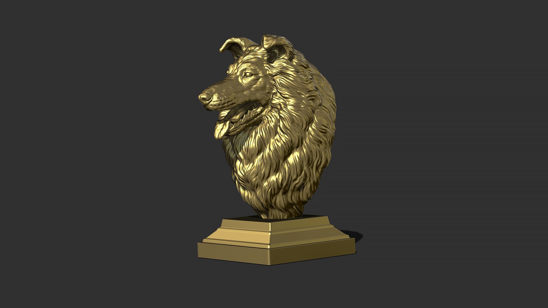 3D Collie Dog head model - TurboSquid 2092515
