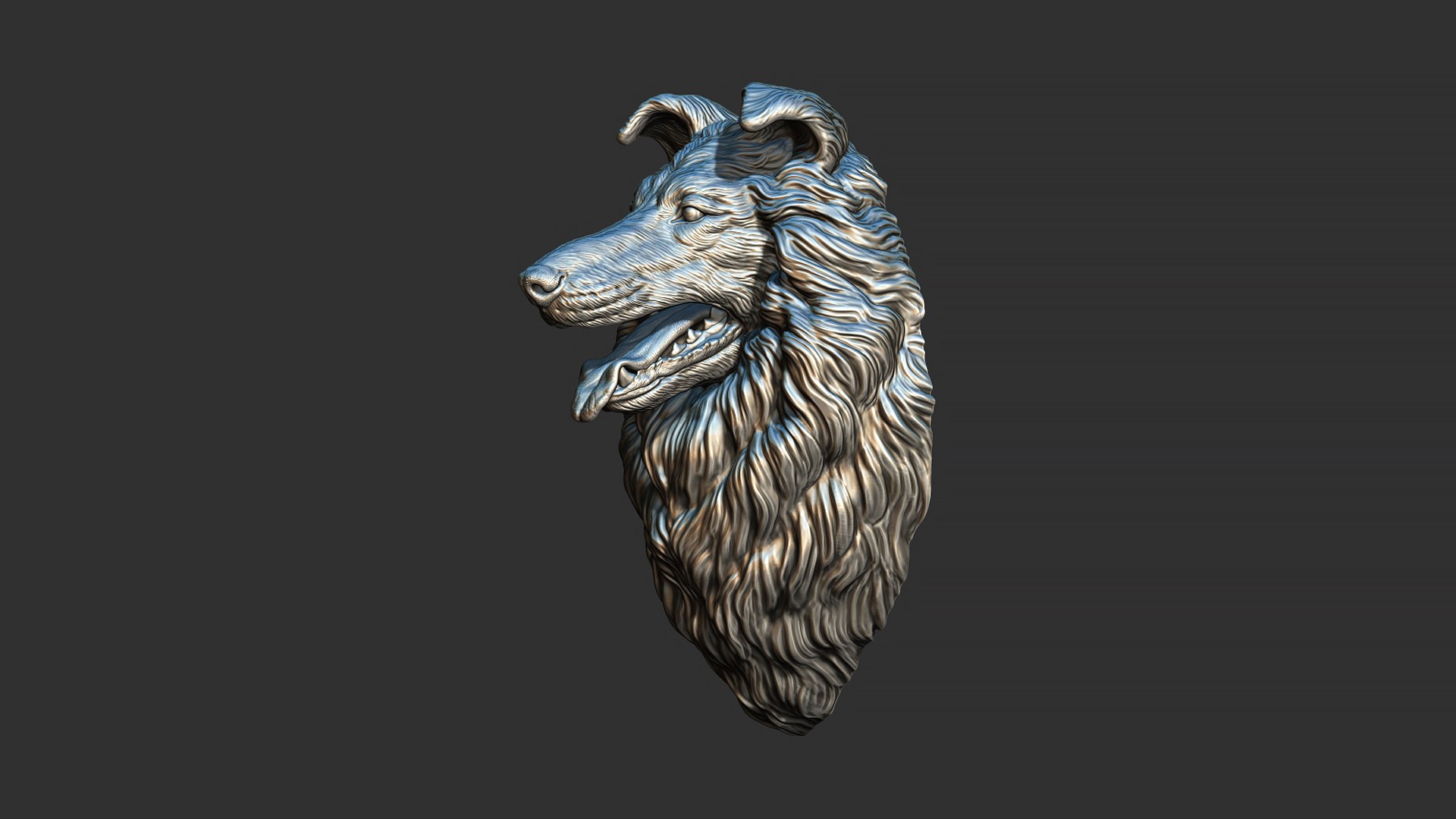 3D Collie Dog head model - TurboSquid 2092515