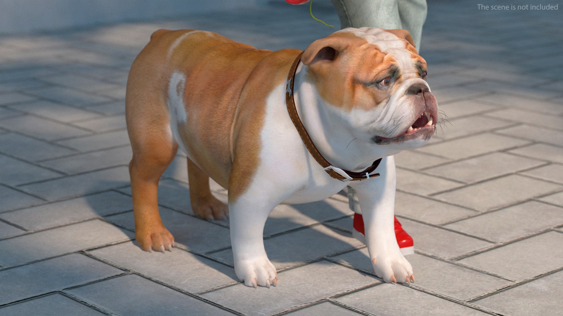 3D Girl Walks With A Bulldog Fur - TurboSquid 2179953