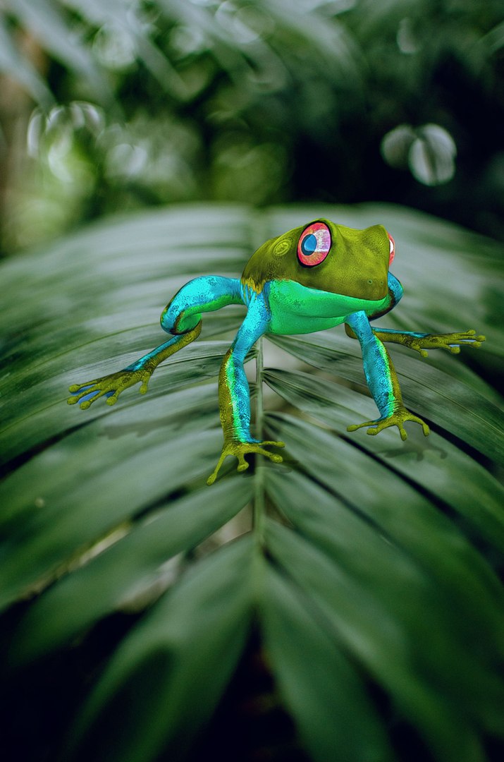 3D Frog Life Cycle Stages Rigged For Max And Unity - TurboSquid 2000226