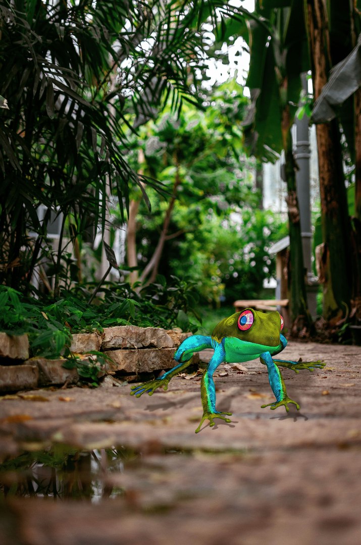 3D Frog Life Cycle Stages Rigged For Max And Unity - TurboSquid 2000226