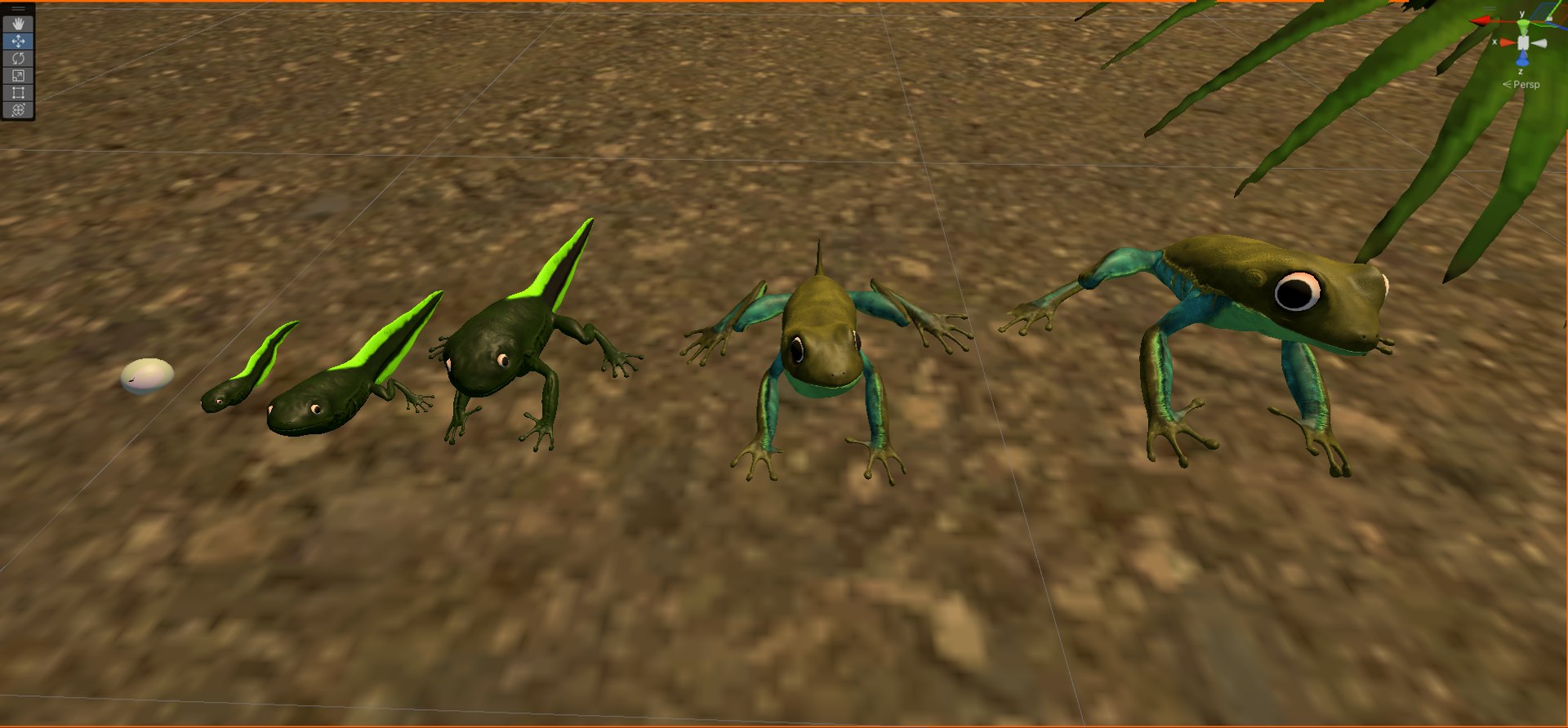 3D Frog Life Cycle Stages Rigged For Max And Unity - TurboSquid 2000226