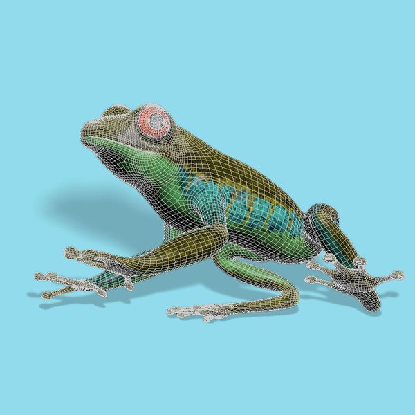 modelo 3d 3D Frog Life Cycle Stages Rigged for Max and Unity ...