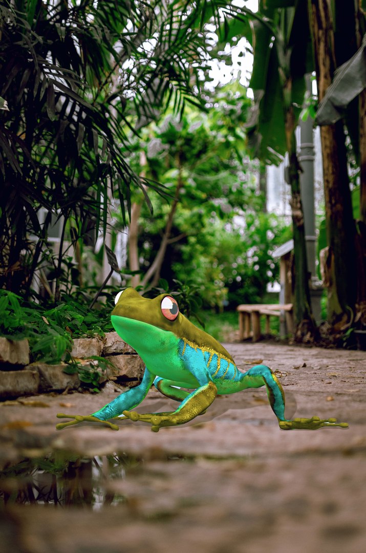 3D Frog Life Cycle Stages Rigged For Max And Unity - TurboSquid 2000226