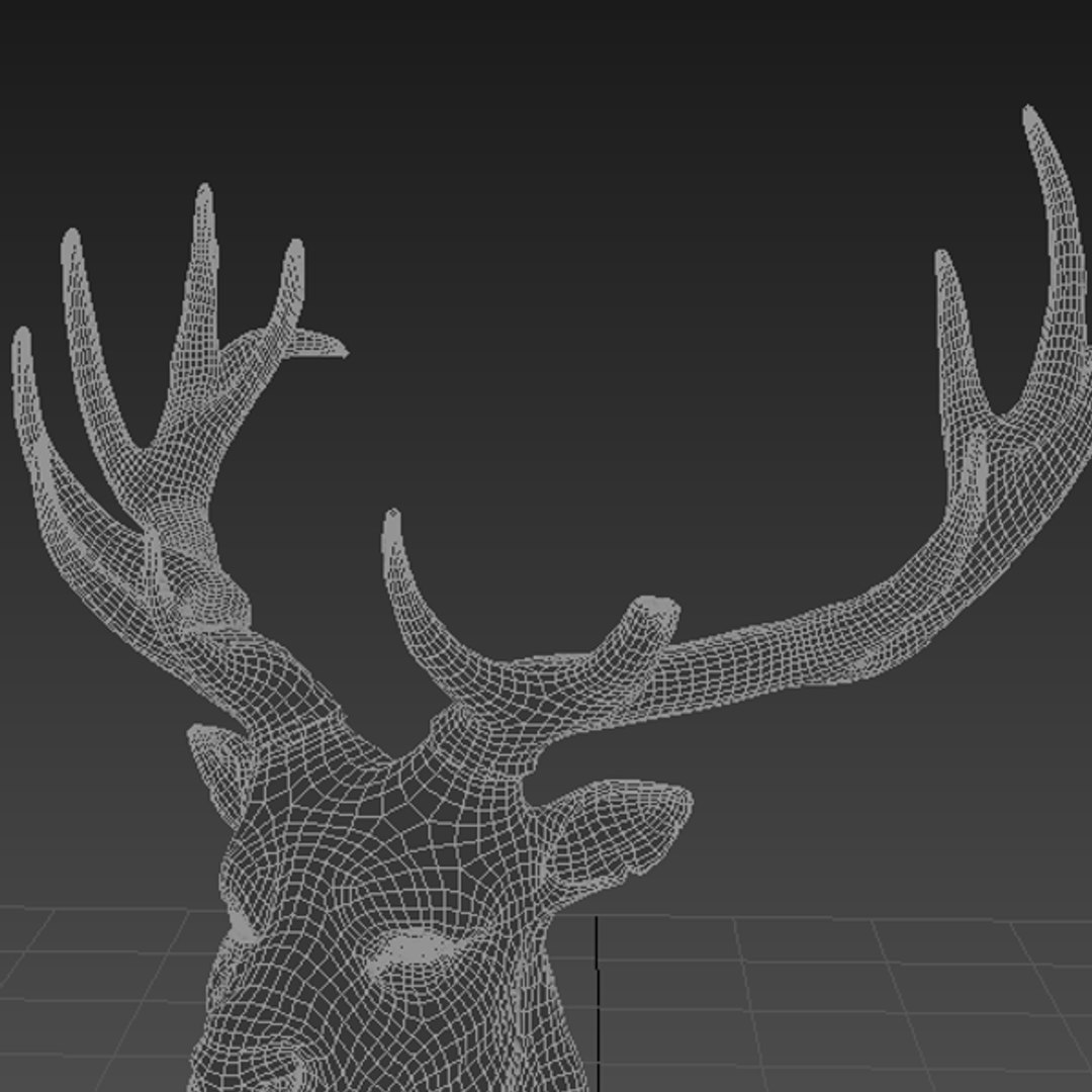 Deer Antlers Head Max
