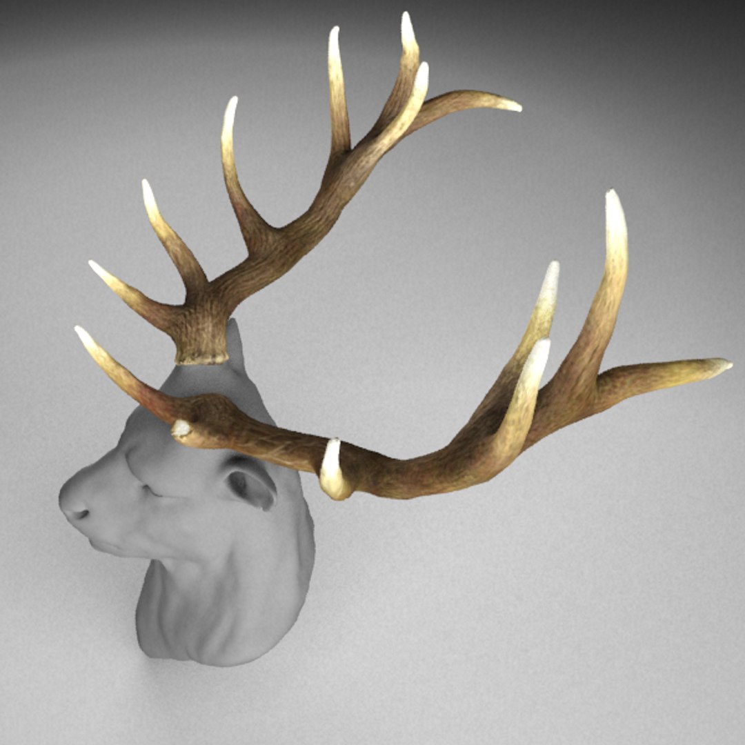 Deer Antlers Head Max