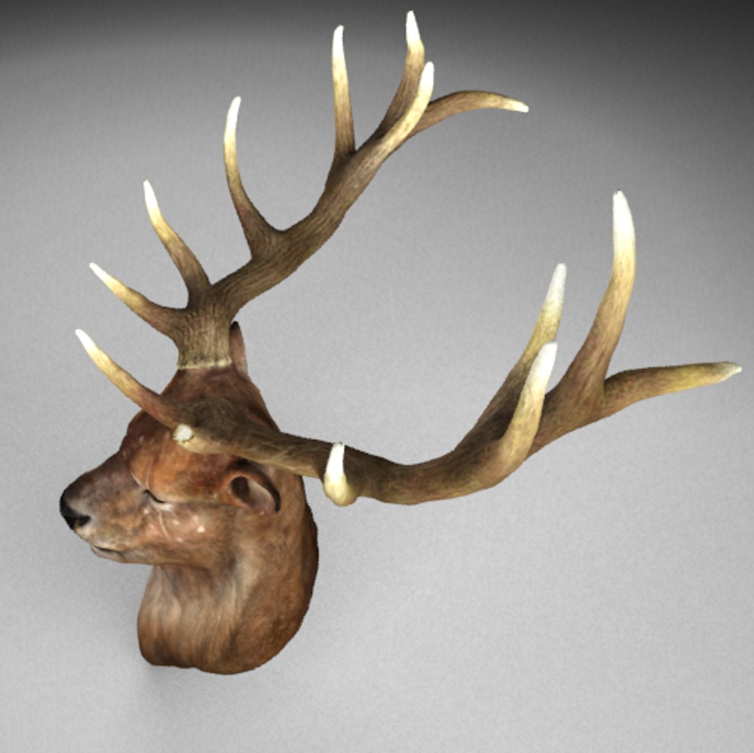 Deer Antlers Head Max