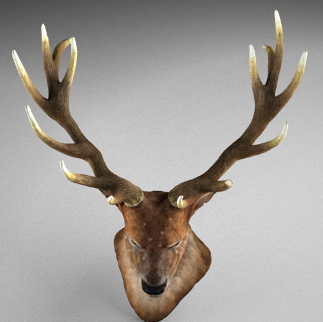 Deer Antlers Head Max
