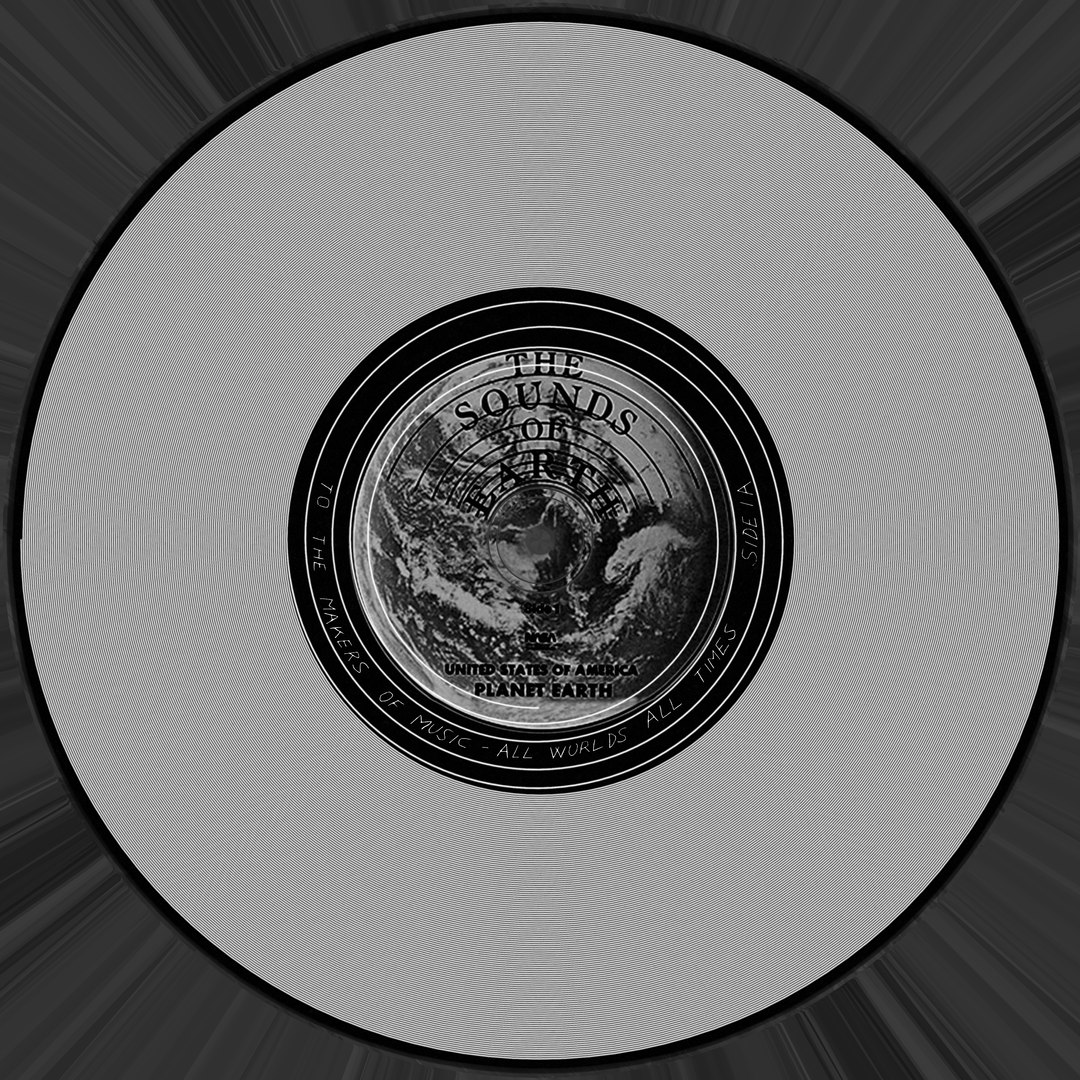 Golden Record 3D - TurboSquid 1615841