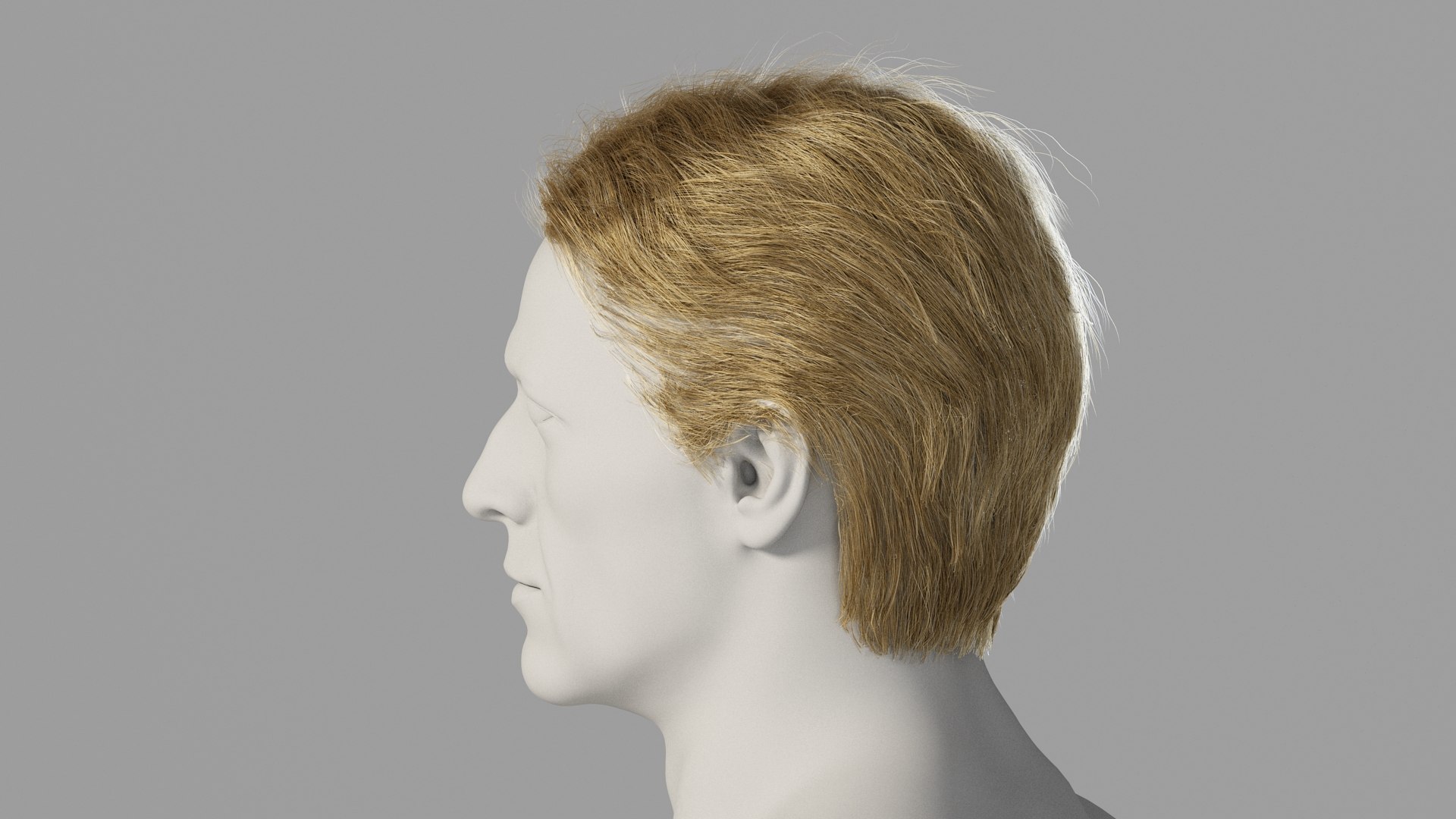 3D Realistical Hairstyle Human Hair Model - TurboSquid 1542880